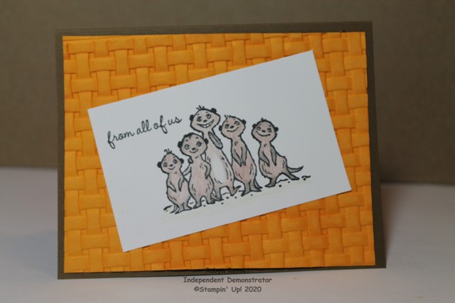 The Gangs All Meer Watercolor Pencils – Stamping@Robyn's Roost