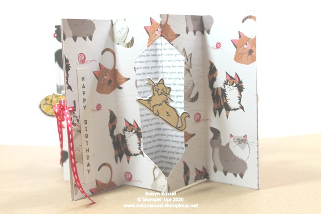 Pampered Pets Expanding Star Card – Stamping@Robyn's Roost