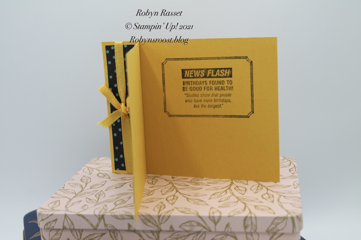 Floating and Fluttering Book Style Fun Fold – Stamping@Robyn's Roost
