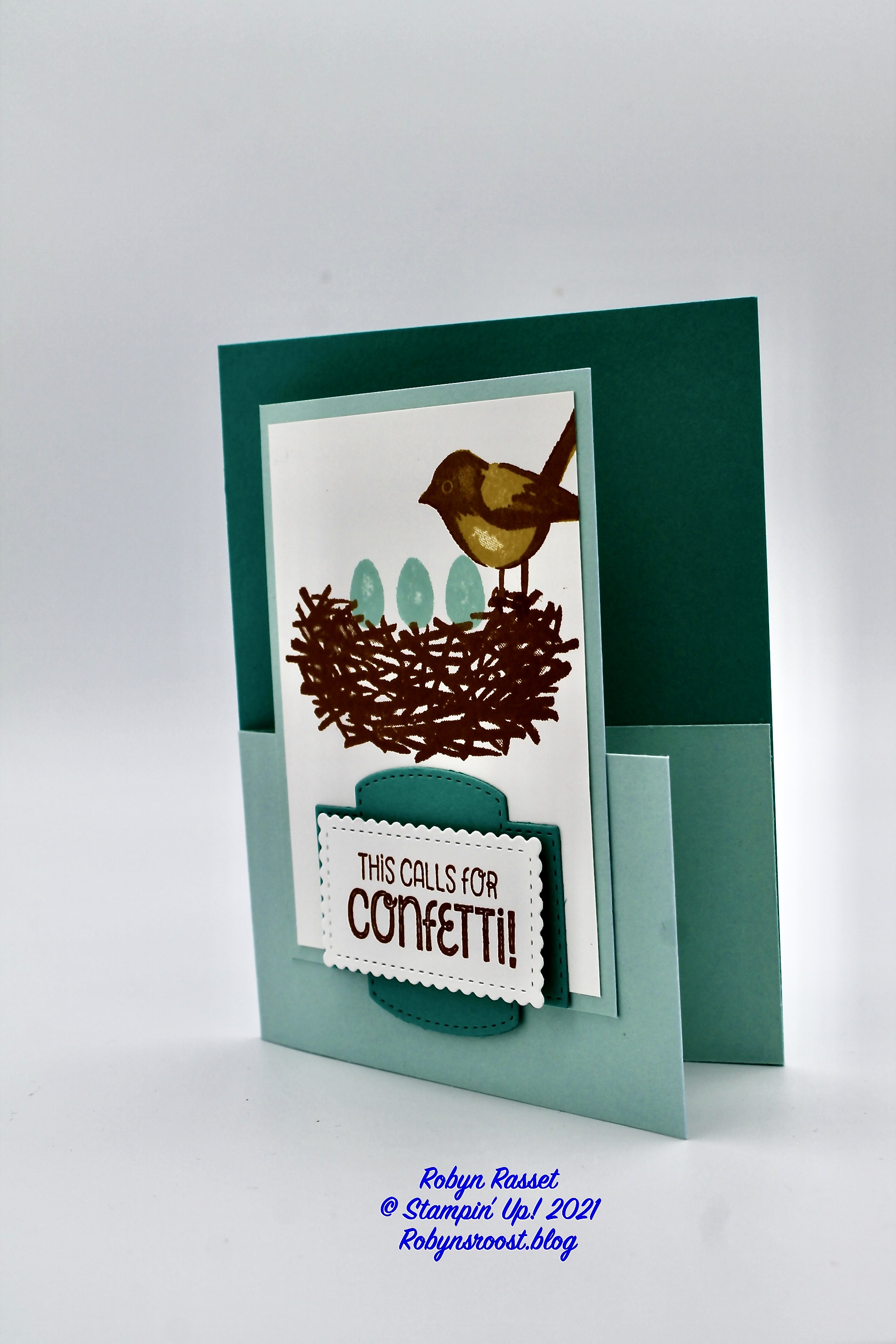 Birds & Branches Baby – Stamping@Robyn's Roost