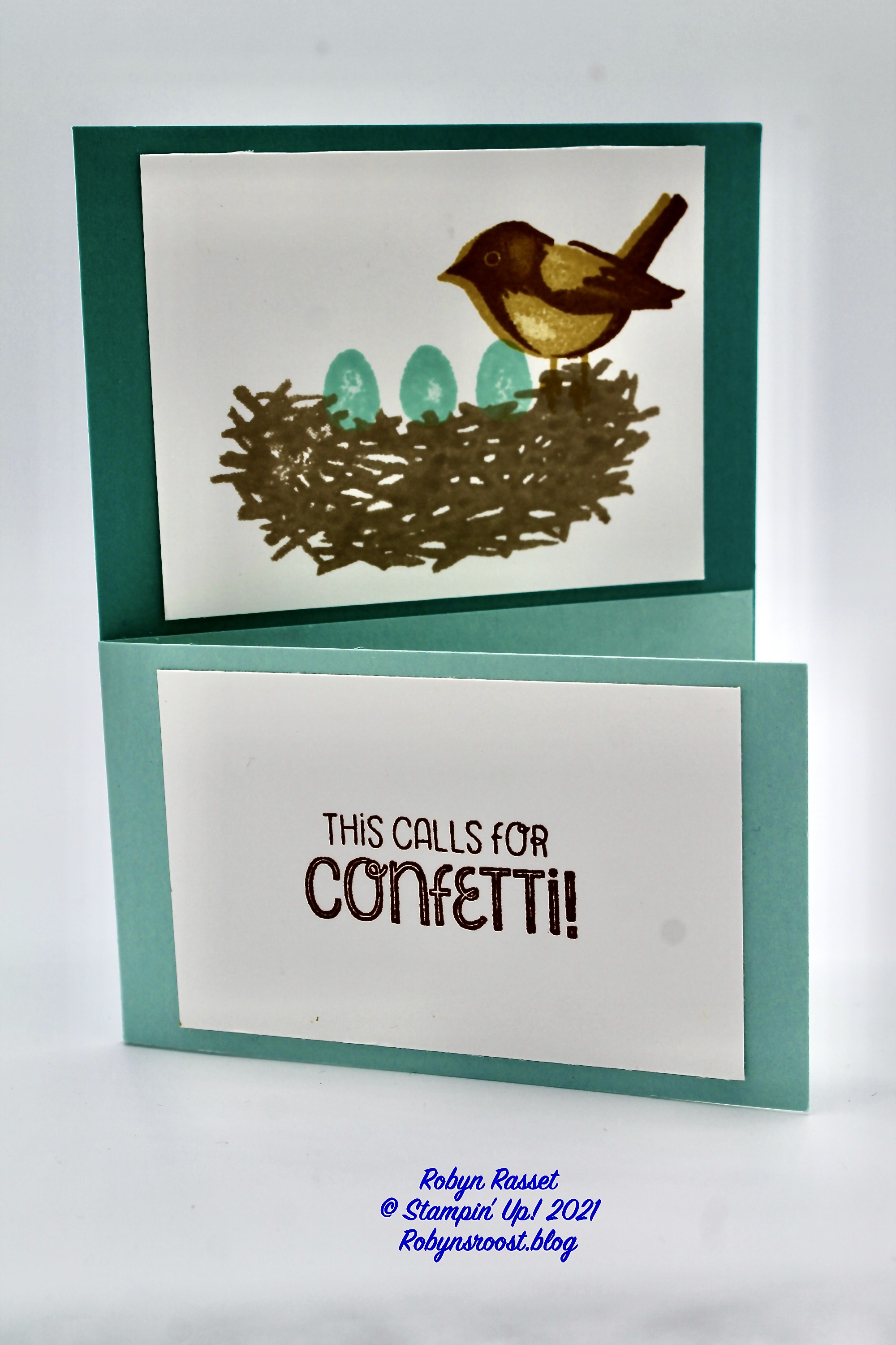 Birds & Branches Baby – Stamping@Robyn's Roost