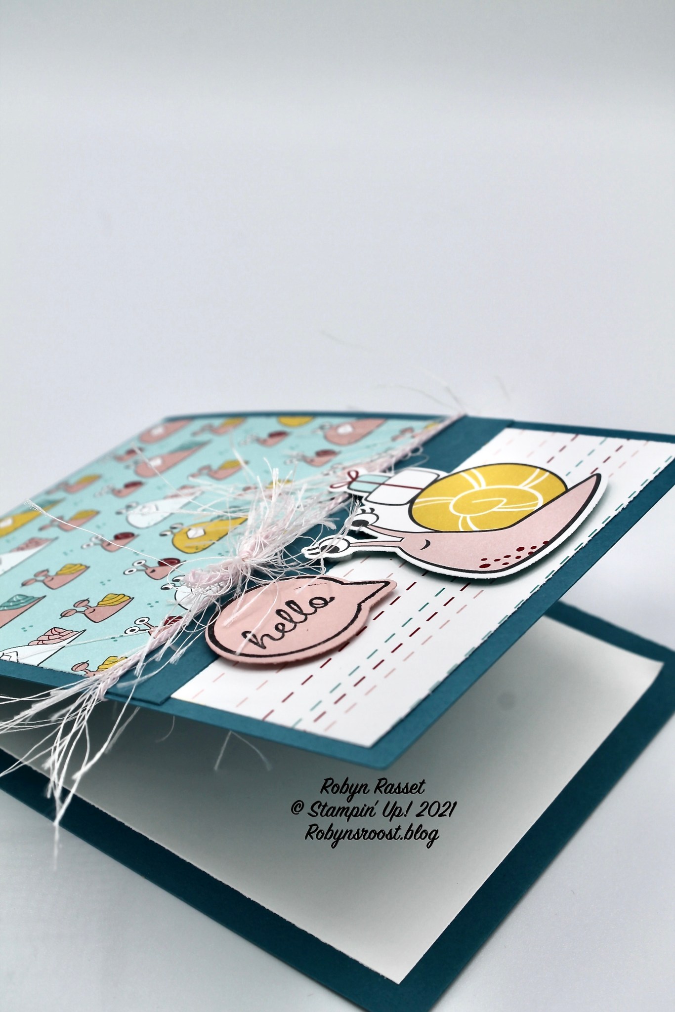 Snailed It Quick and Easy Card – Stamping@Robyn's Roost