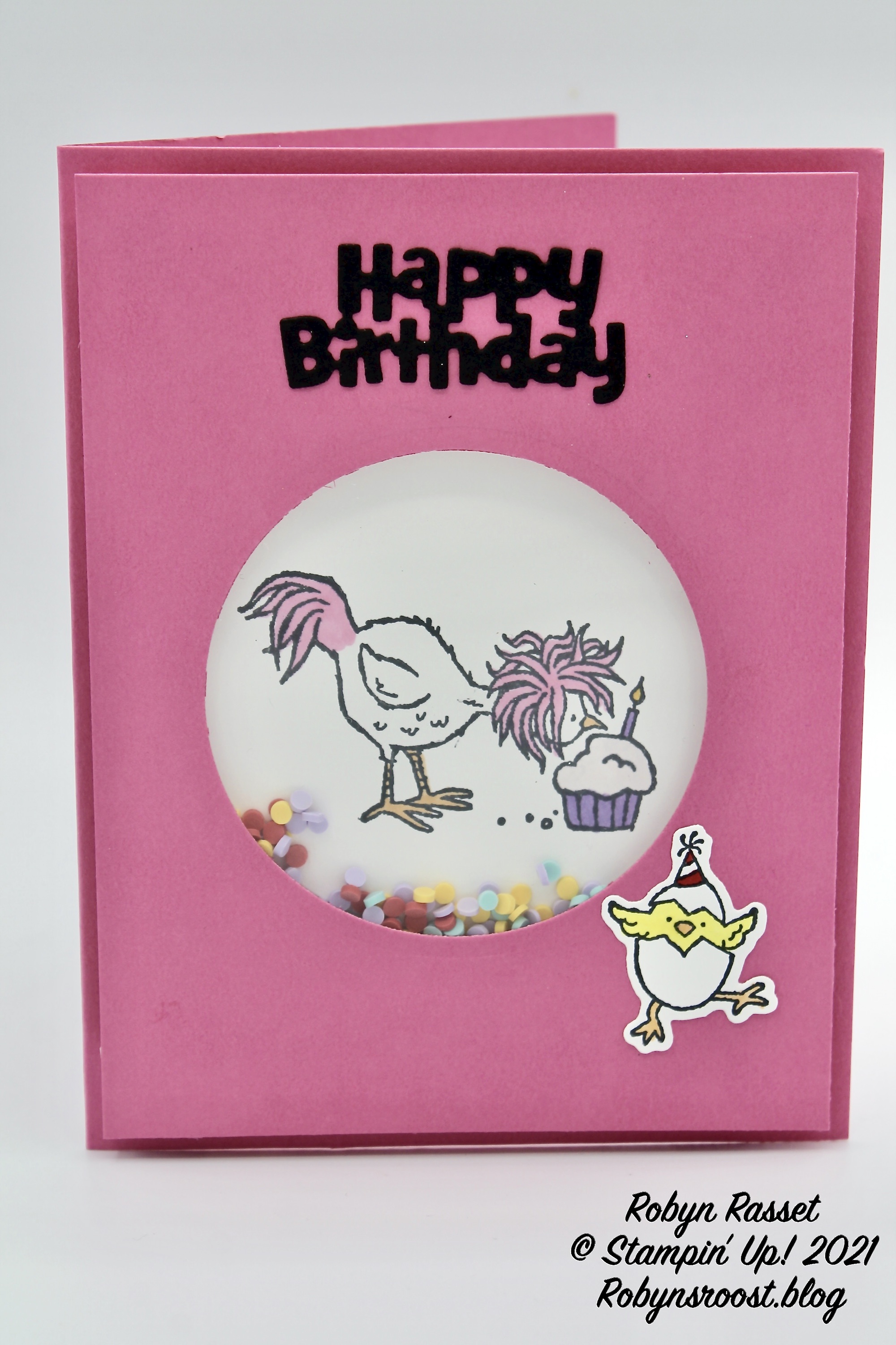 Hey Birthday Chick Shaker Cards – Stamping@Robyn's Roost