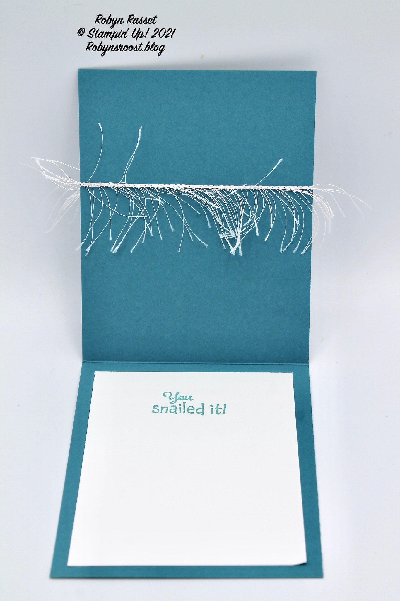 Snailed It Quick and Easy Card – Stamping@Robyn's Roost