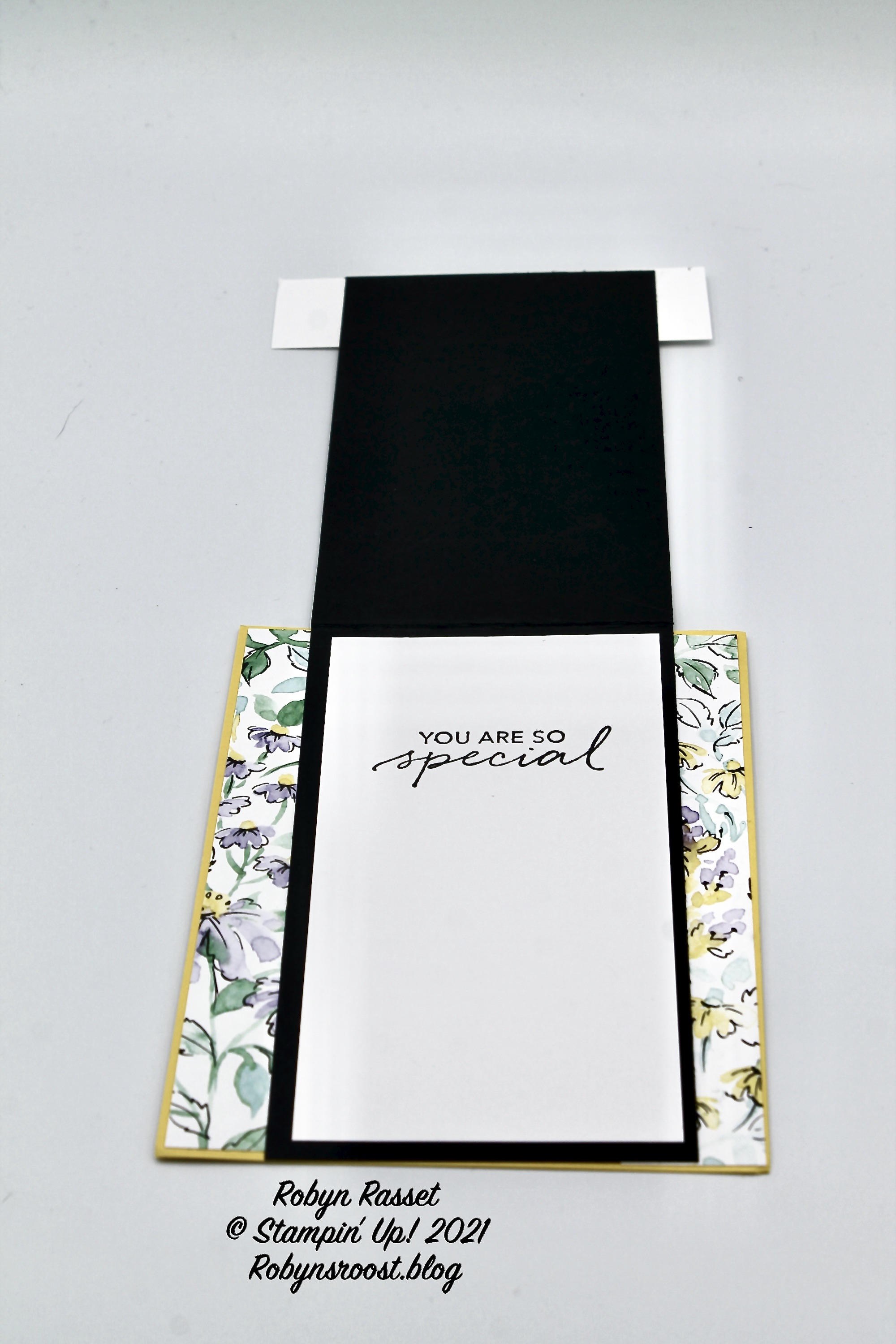 Swap Card Friday – Stamping@Robyn's Roost