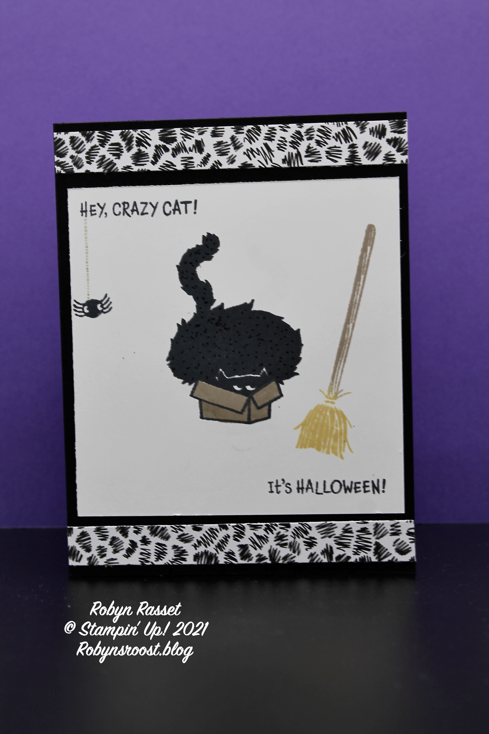 Cat in a Box Halloween Card – Stamping@Robyn's Roost