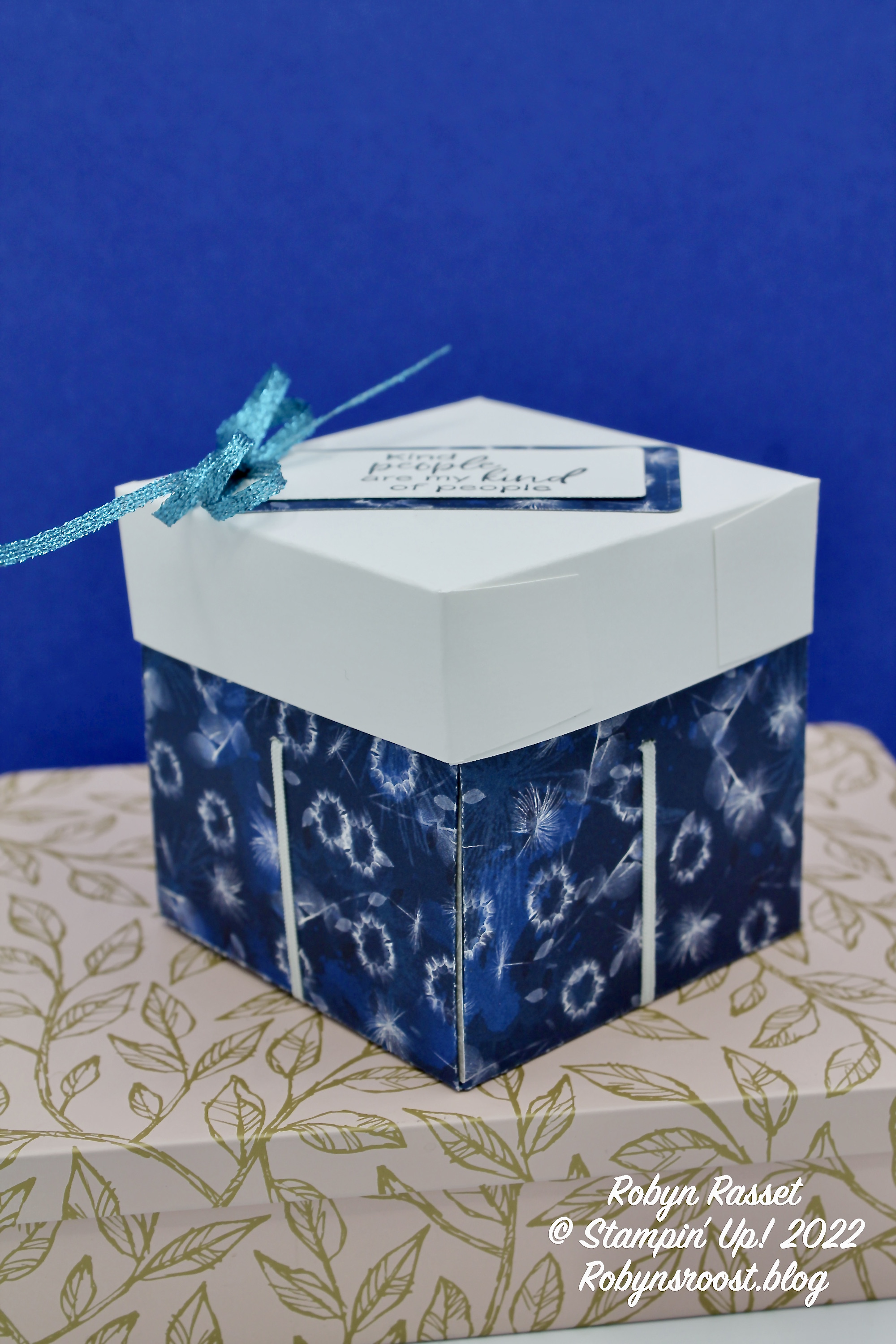 Jumping Box Card – Stamping@Robyn's Roost