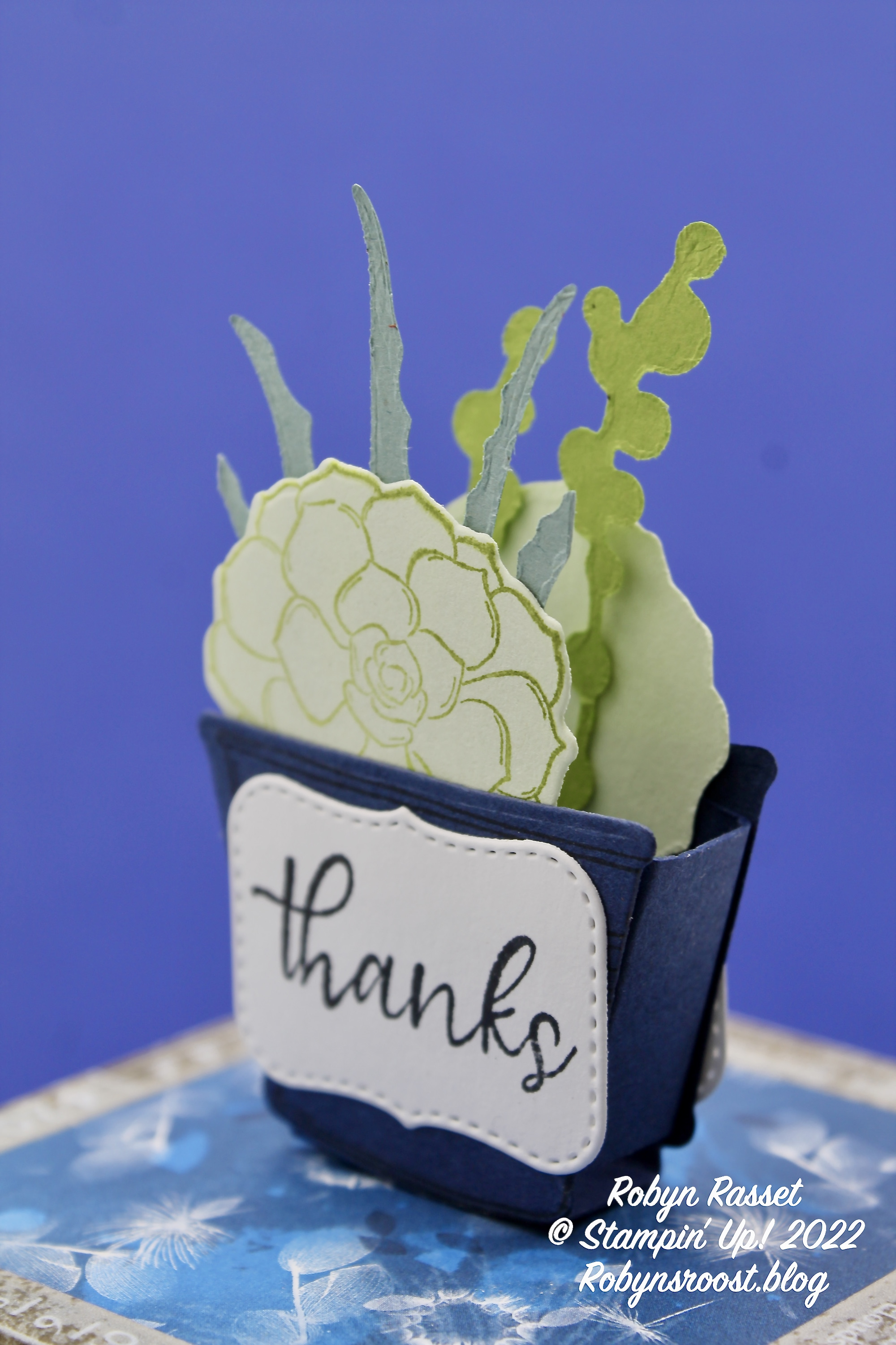 Jumping Box Card – Stamping@Robyn's Roost