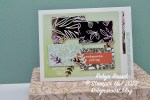 Creativity Now Cards 3 and 4 – Stamping@Robyn's Roost