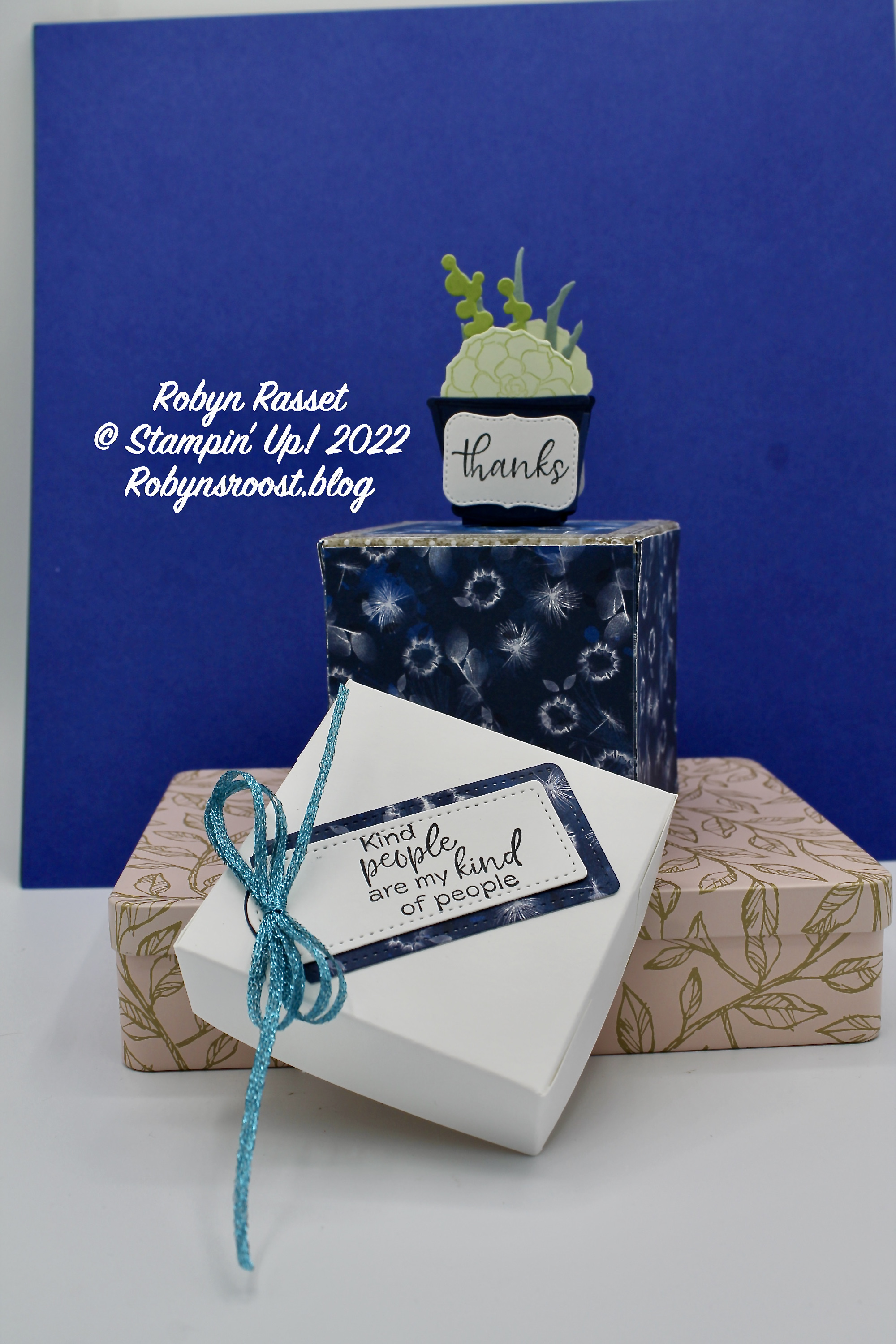 Jumping Box Card – Stamping@Robyn's Roost