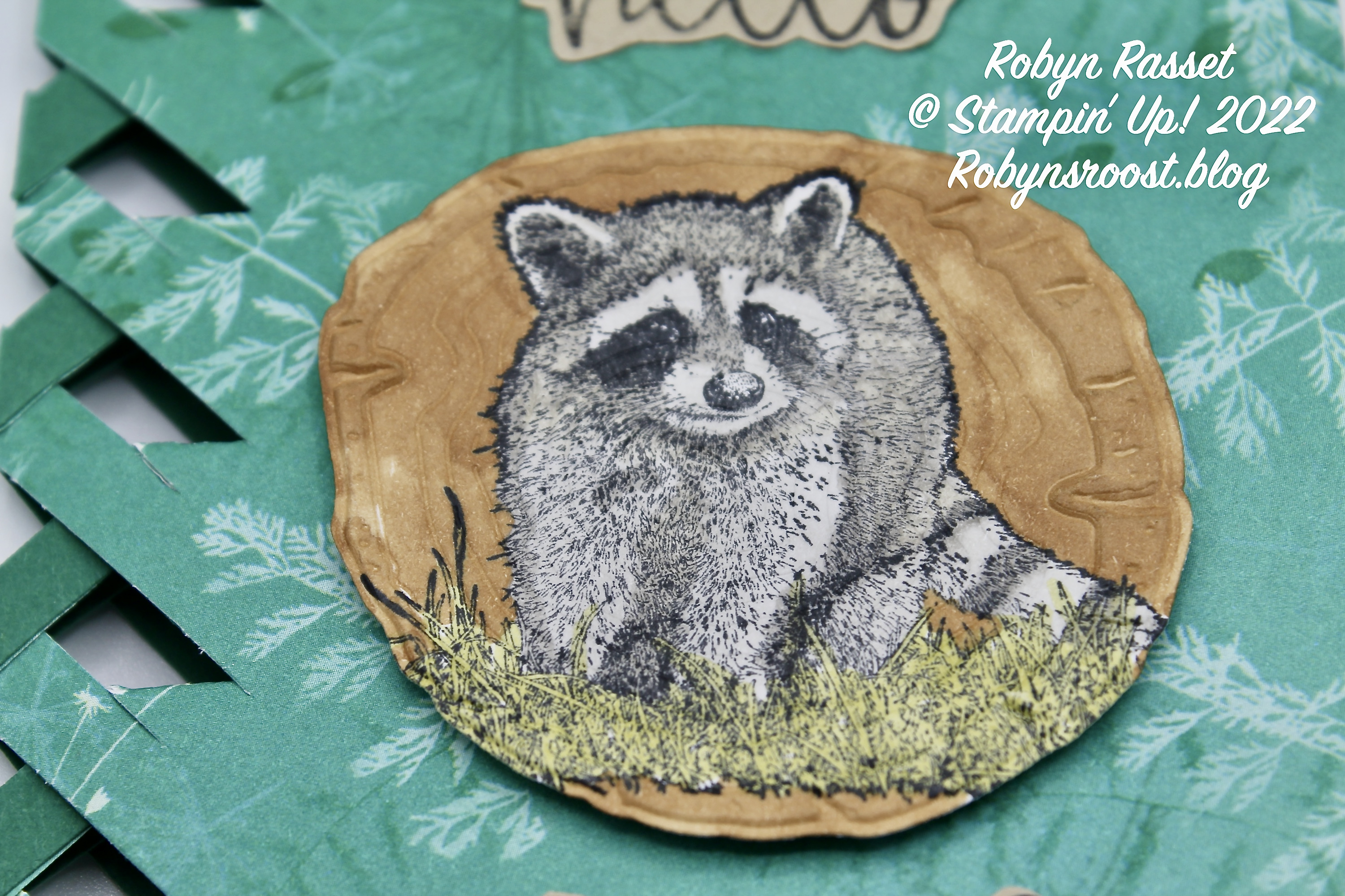 Wild & Sweet Braided Edge Card – Stamping@Robyn's Roost