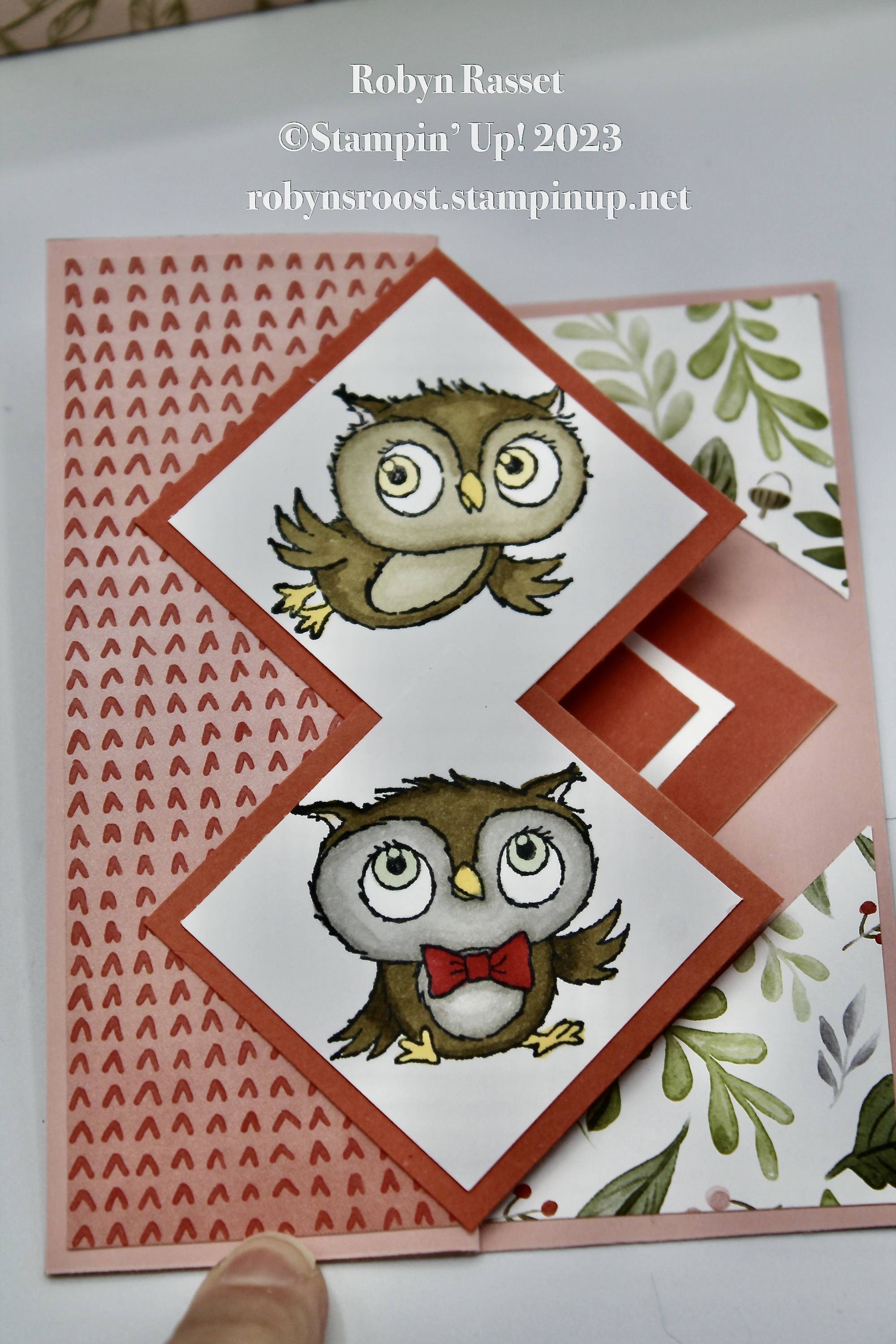 Adorable Owls – Stamping@Robyn's Roost