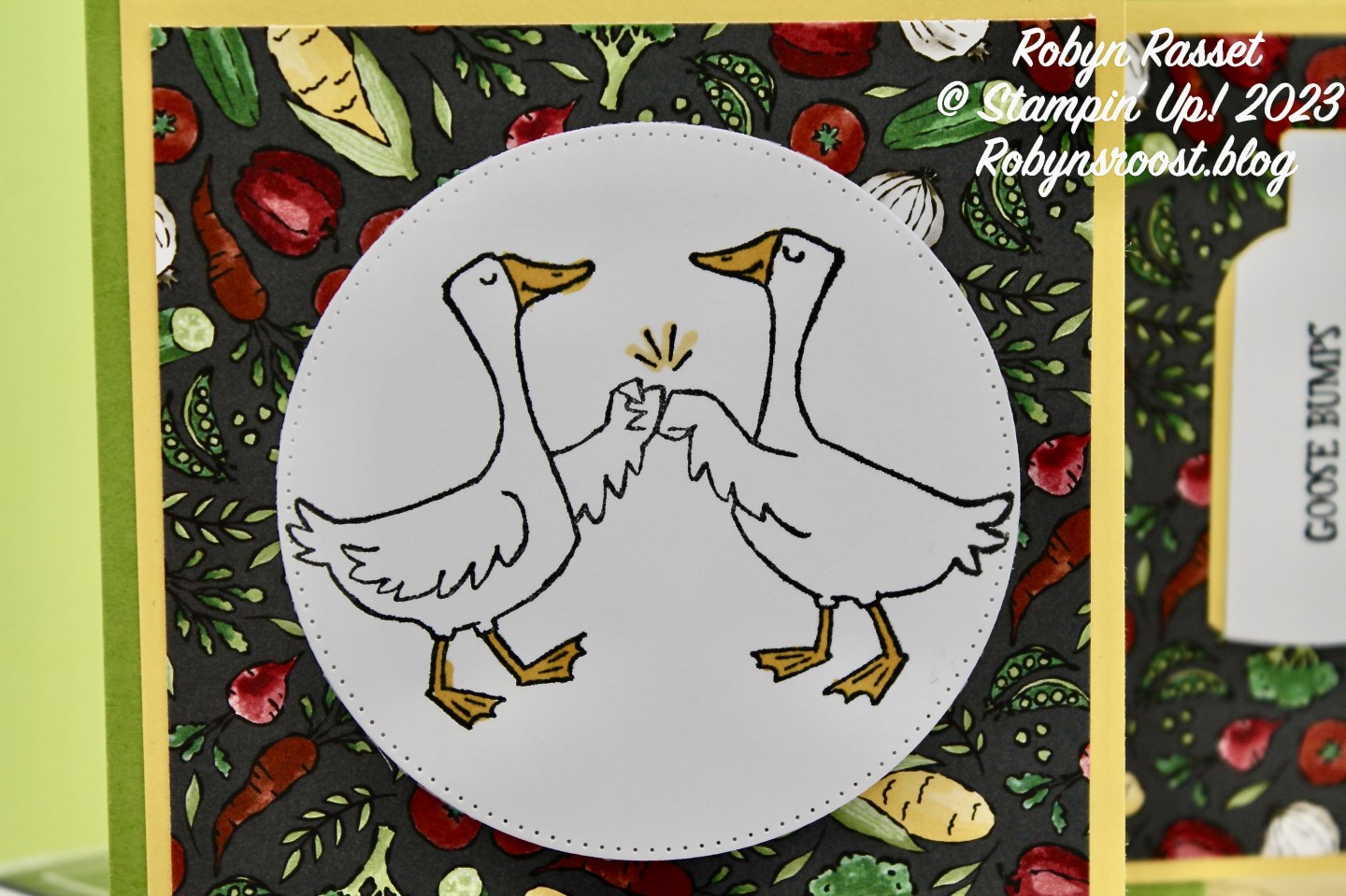 Goose Bumps – Stamping@Robyn's Roost