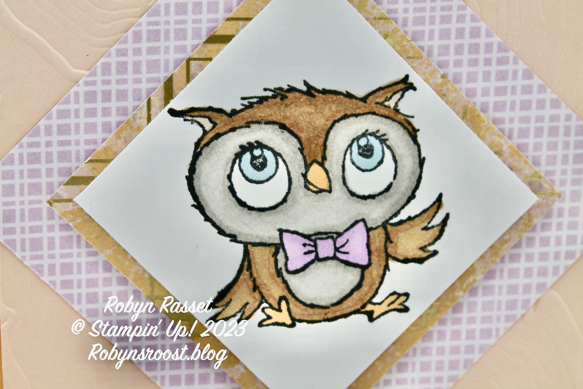 Adorable Owl Card – Stamping@Robyn's Roost