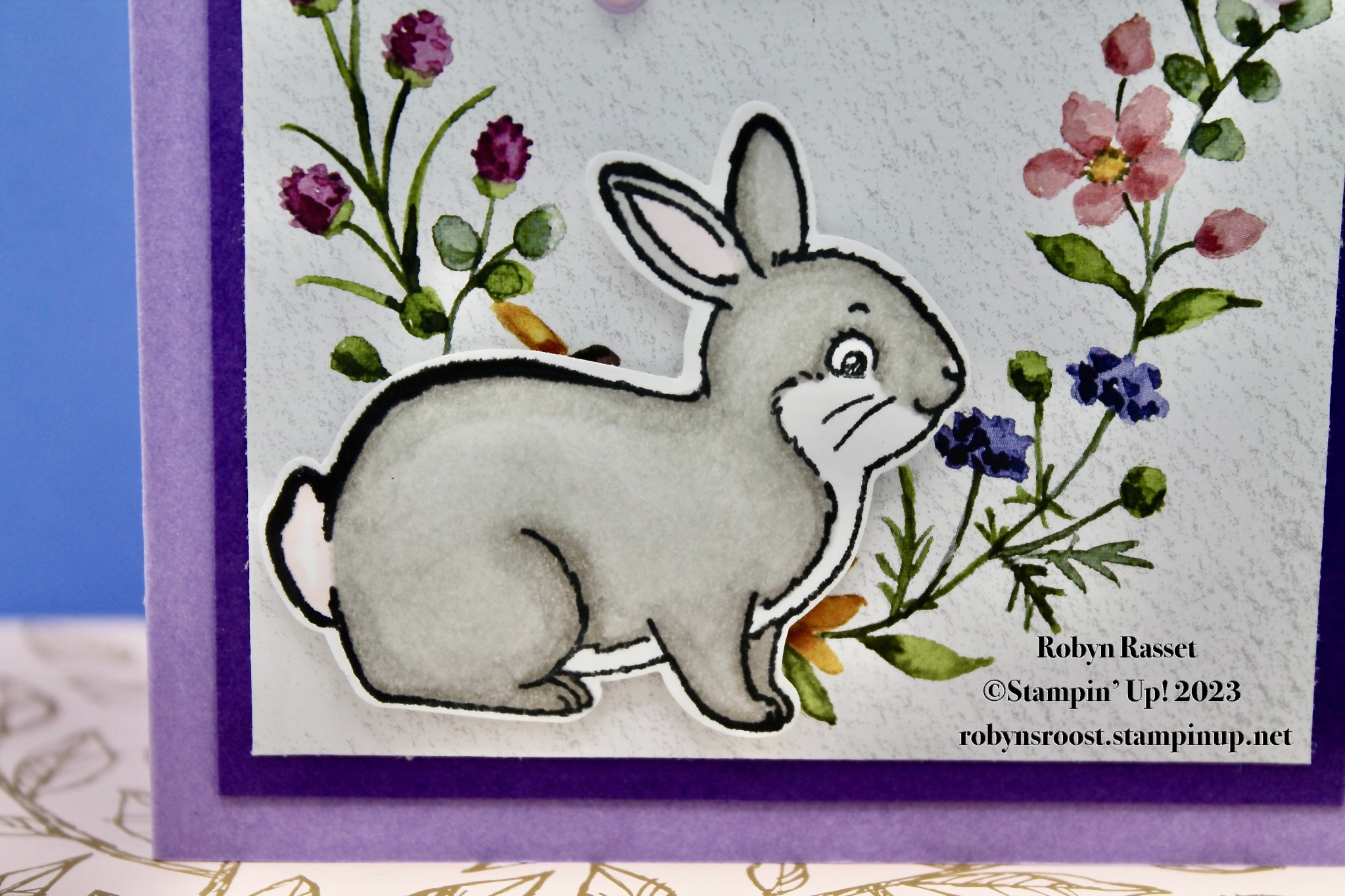Easter Bunny – Stamping@Robyn's Roost