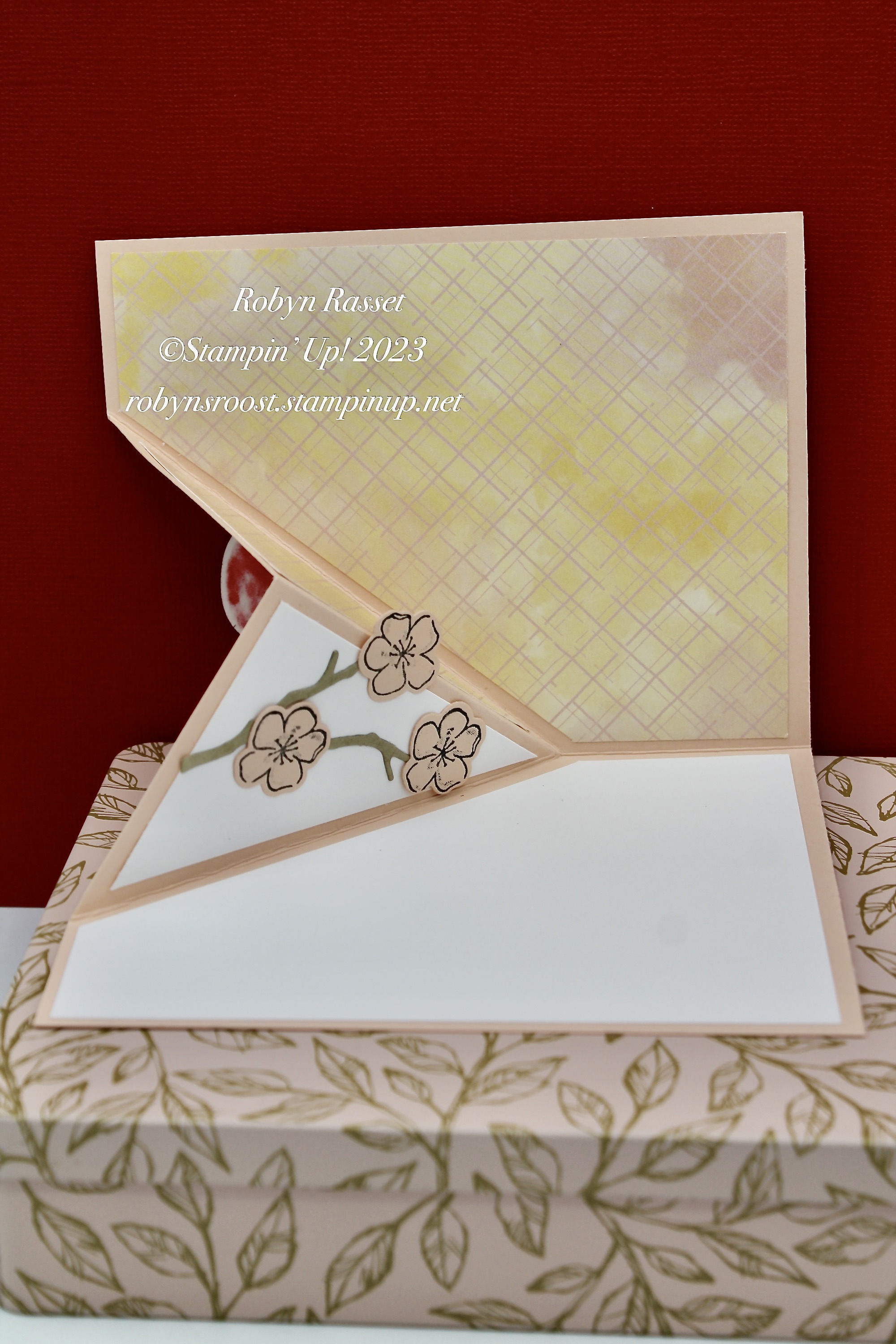 Corner Tuck Fun Fold – Stamping@Robyn's Roost