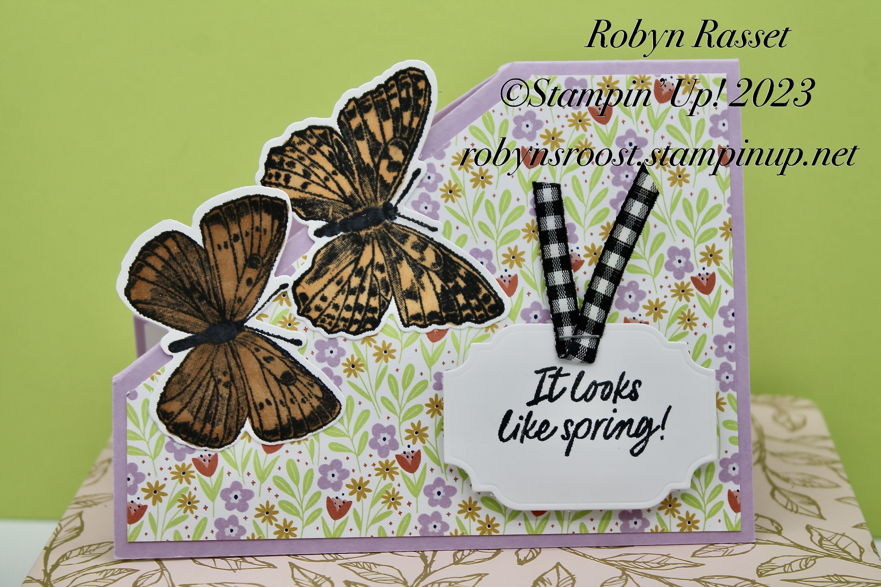 It Looks Like Spring! – Stamping@Robyn's Roost