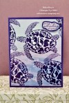 Simple Stamping with Sea Turtles – Stamping@Robyn's Roost