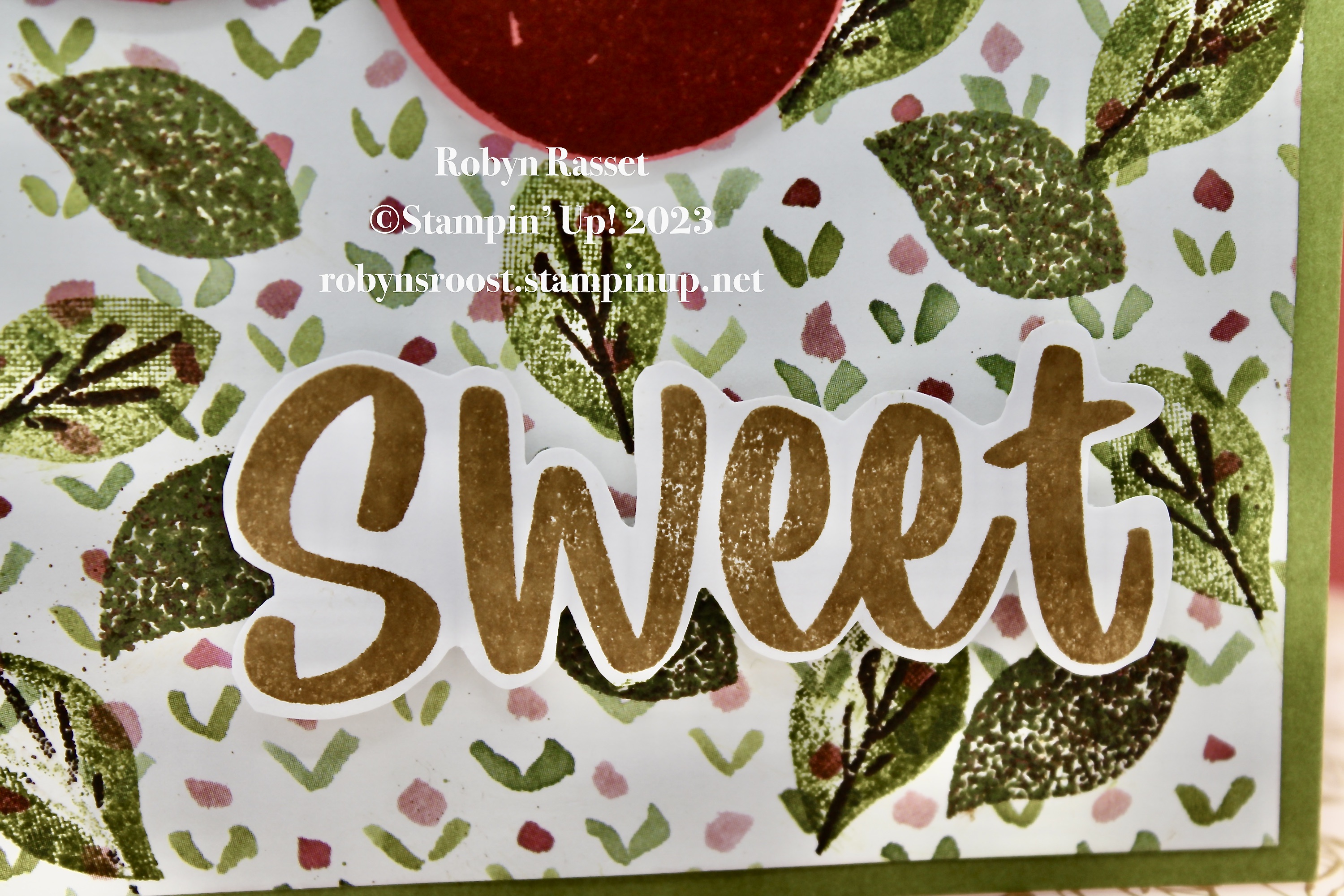 More Stamping on Patterned Paper – Stamping@Robyn's Roost
