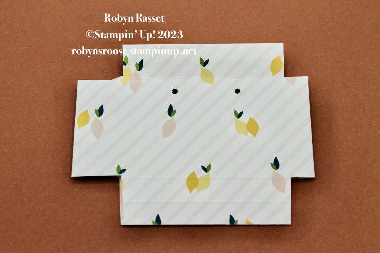 Tiny Gift Bag with Handles – Stamping@Robyn's Roost