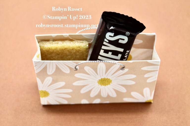 Tiny Gift Bag with Handles – Stamping@Robyn's Roost