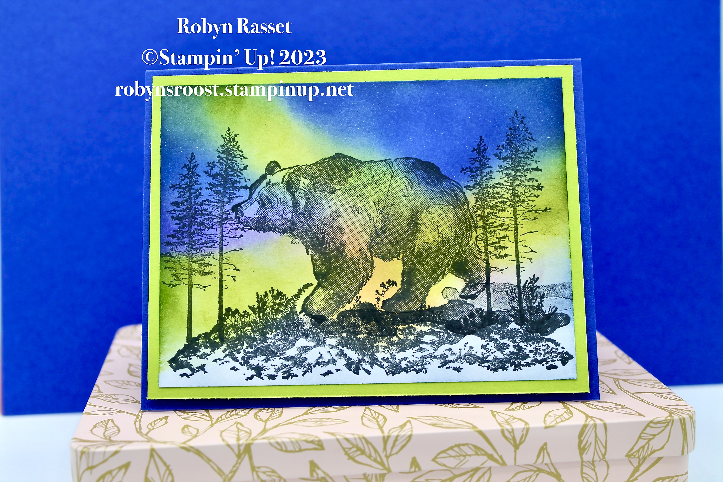 Northern Lights Notecard – Stamping@Robyn's Roost