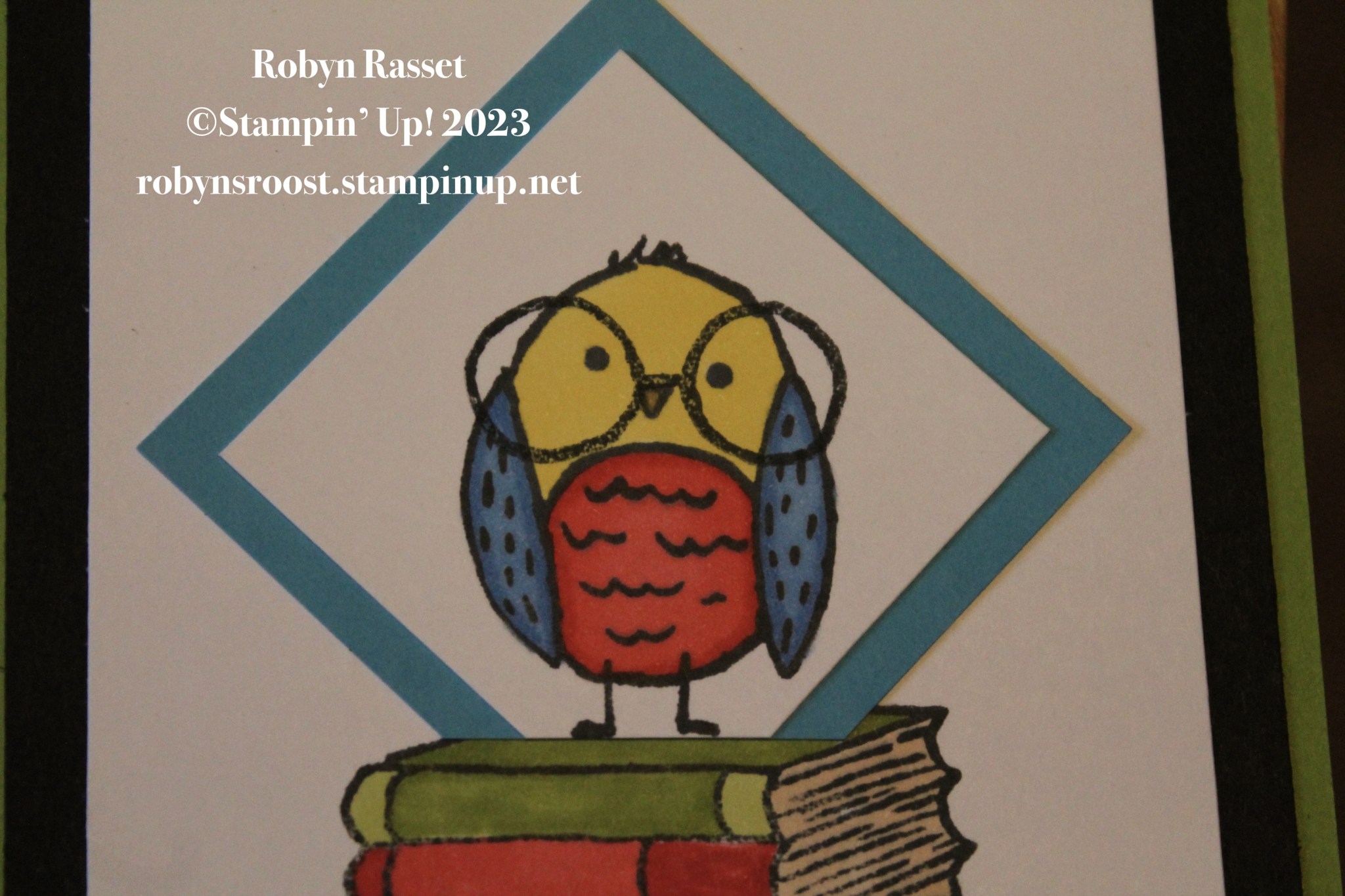 Bird’s Eye View – Stamping@Robyn's Roost