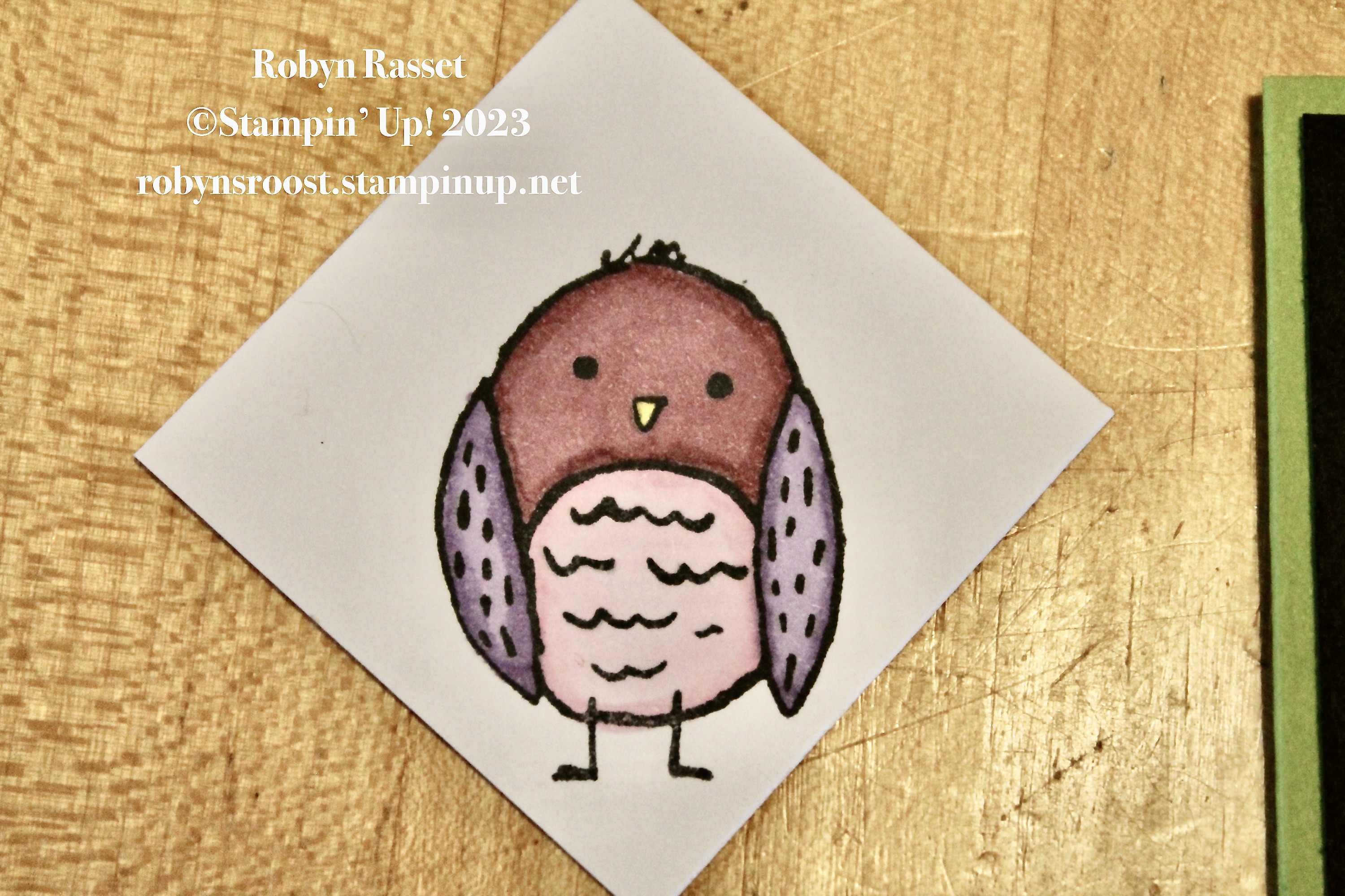 Bird’s Eye View – Stamping@Robyn's Roost