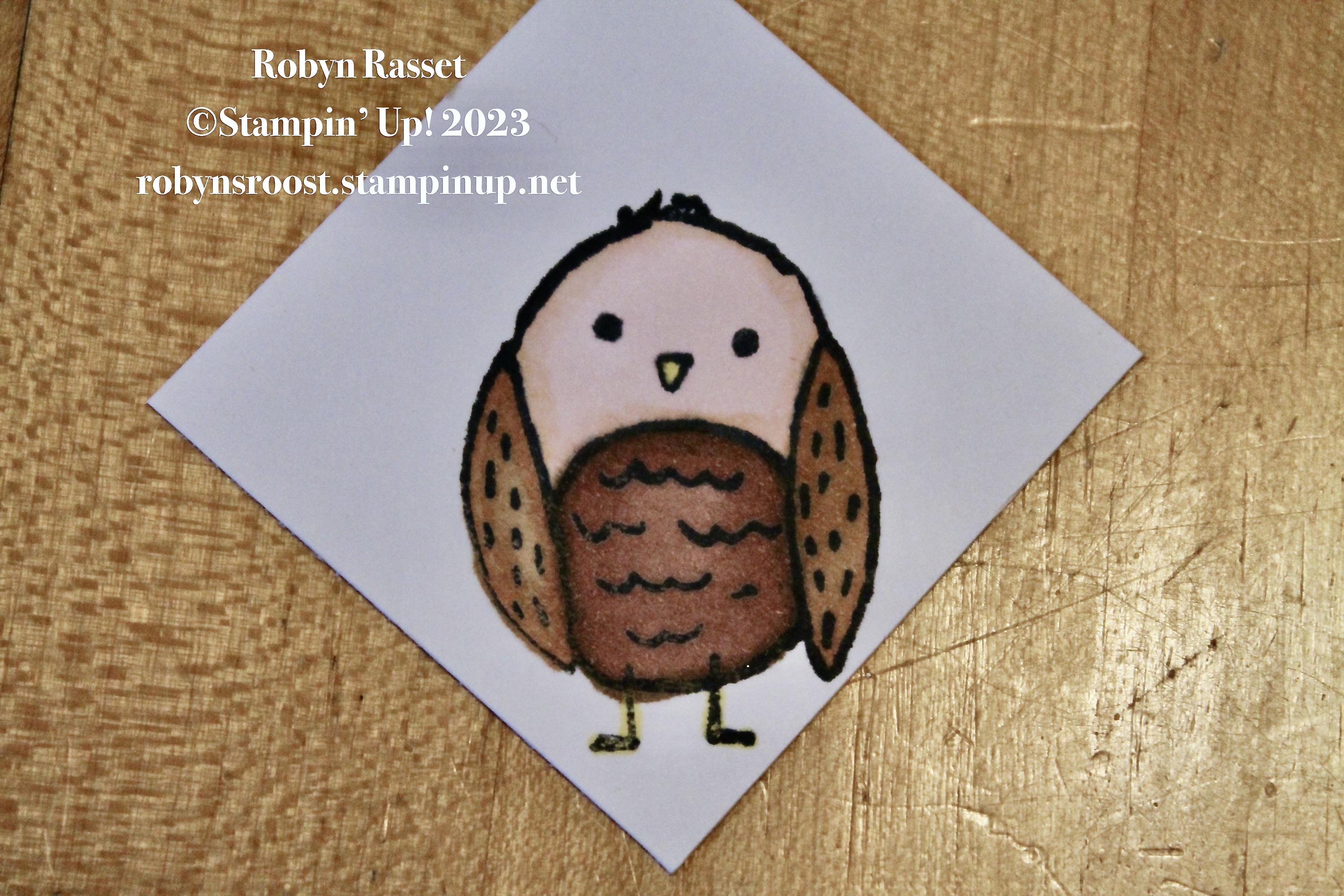 Bird’s Eye View – Stamping@Robyn's Roost