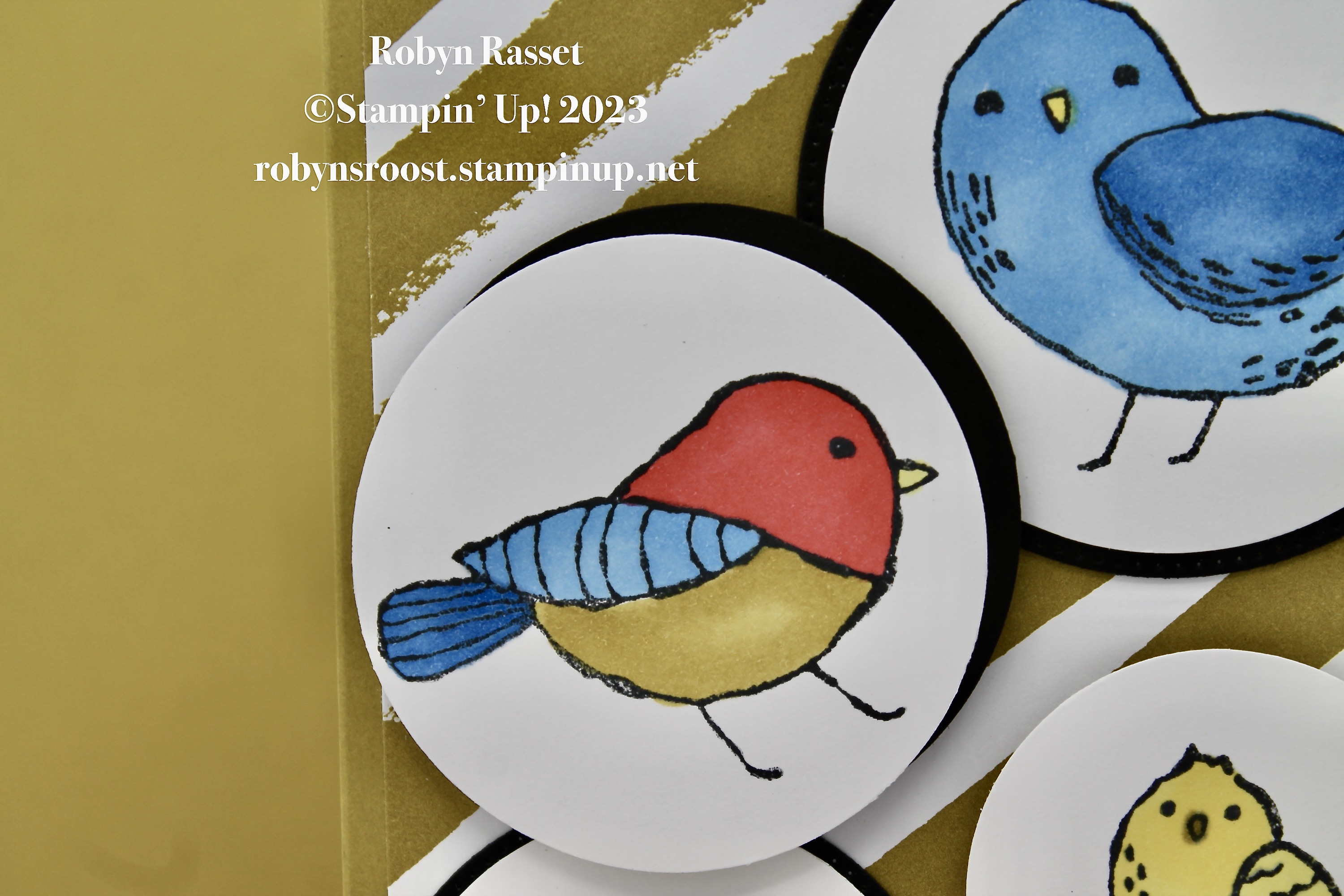 Bird’s Eye View – Stamping@Robyn's Roost