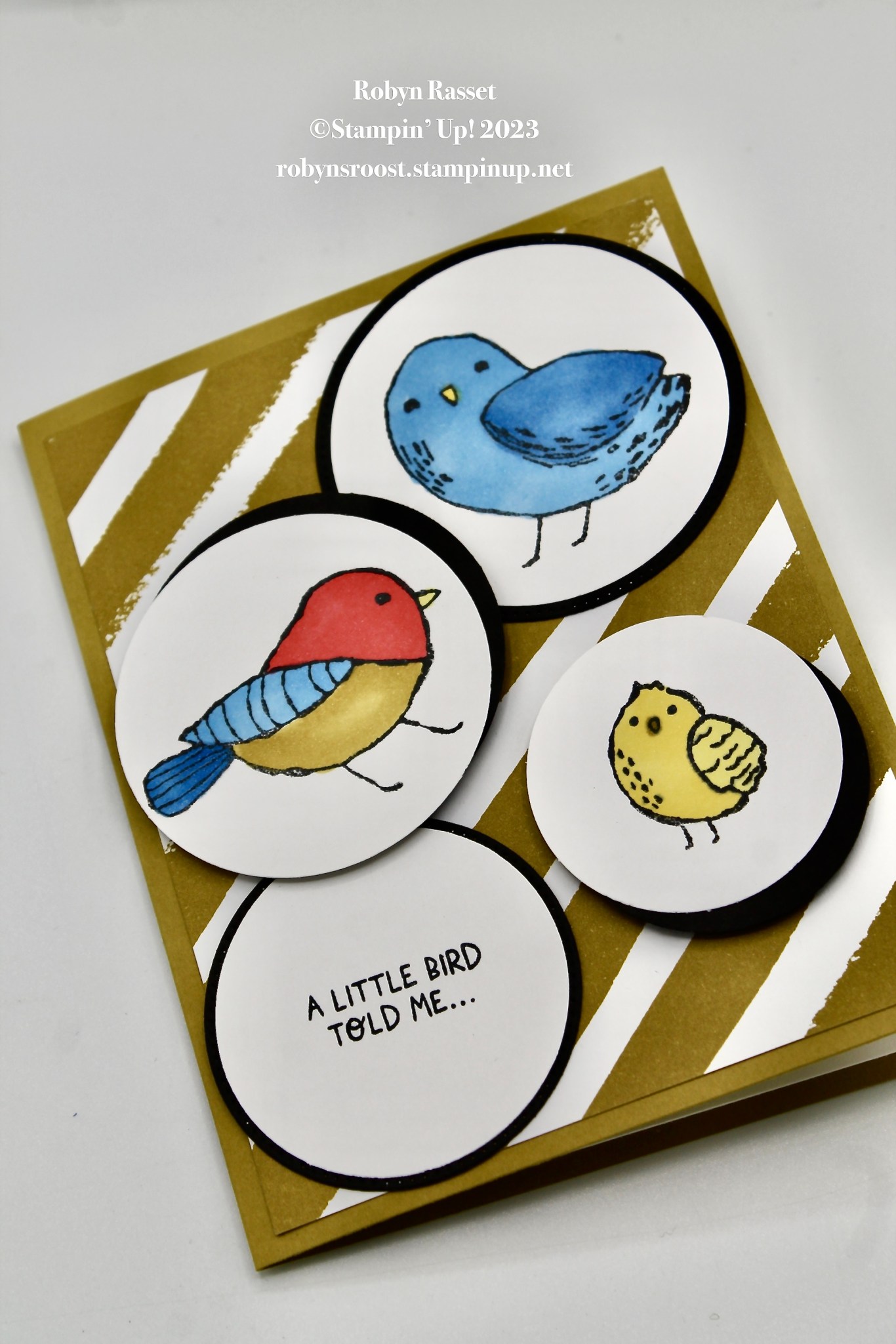 Bird’s Eye View – Stamping@Robyn's Roost