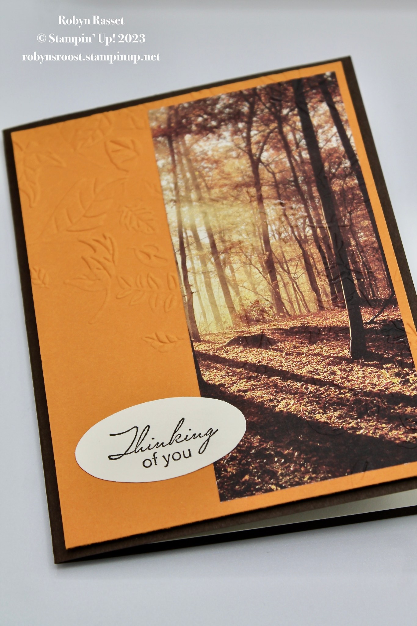 Embossing on Patterned Papers – Stamping@Robyn's Roost