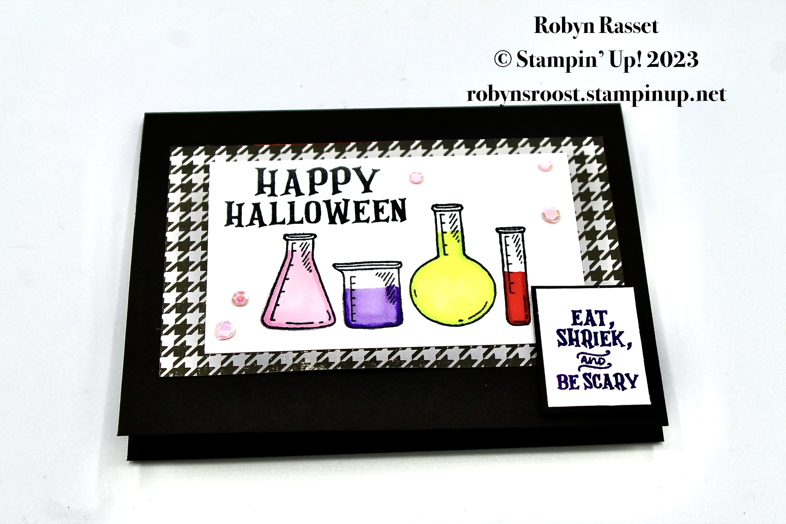 Them Bones Designer Series Paper Part III – Stamping@Robyn's Roost