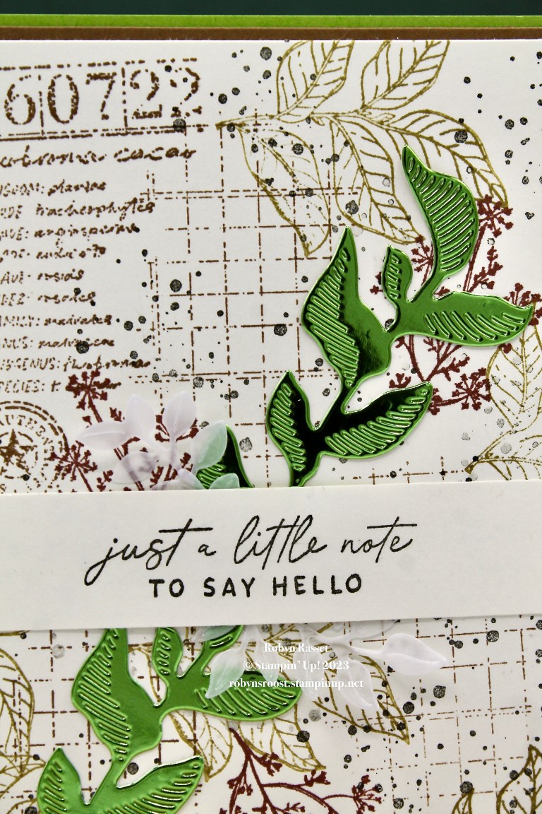 Notes of Nature Hello – Stamping@Robyn's Roost