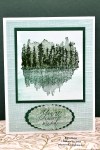 Quiet Reflection – Stamping@Robyn's Roost