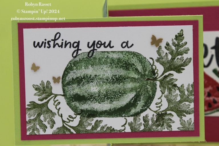 Watercolor Melon – Stamping@Robyn's Roost