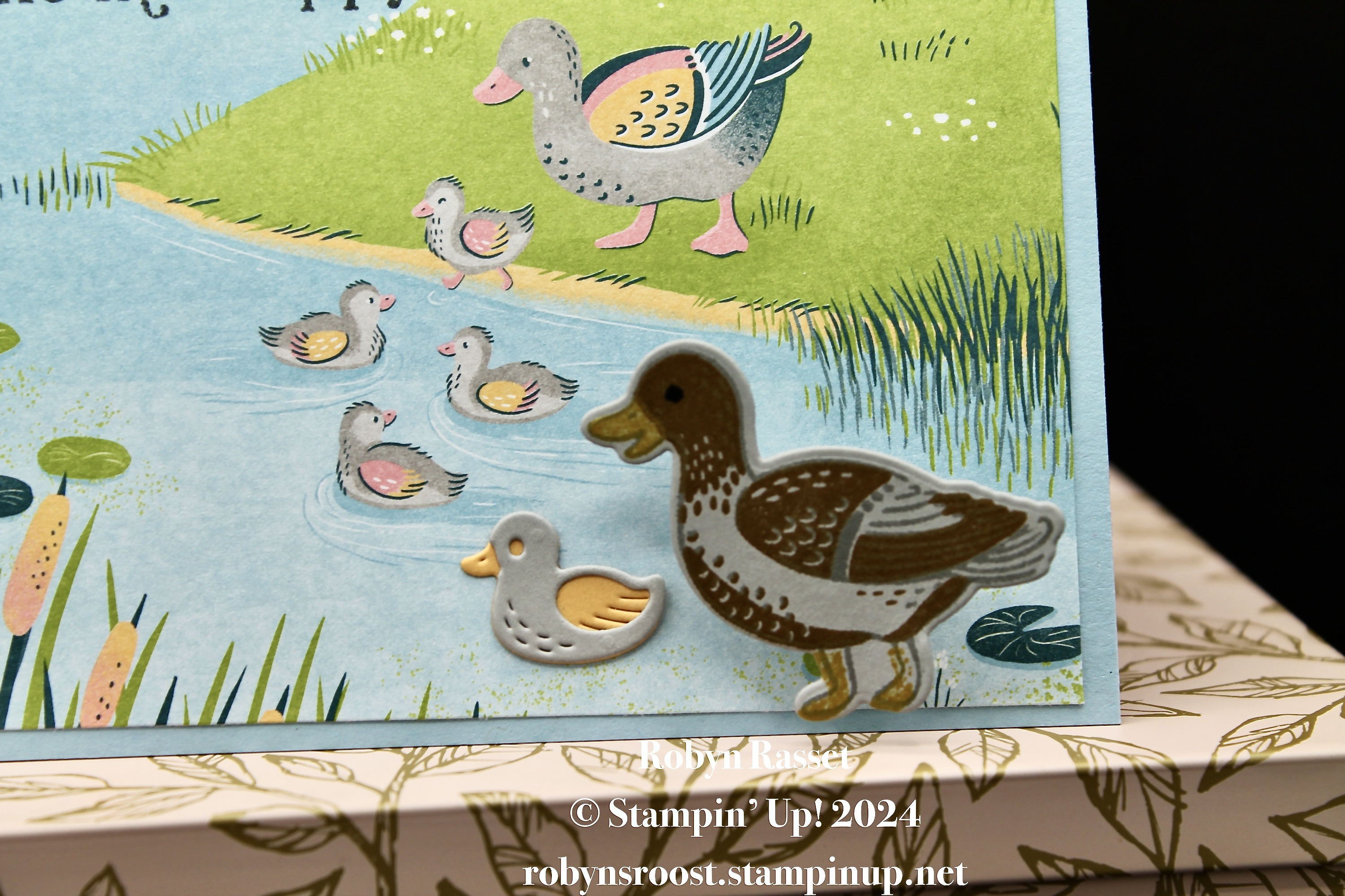 Ducks in the Pond – Stamping@Robyn's Roost