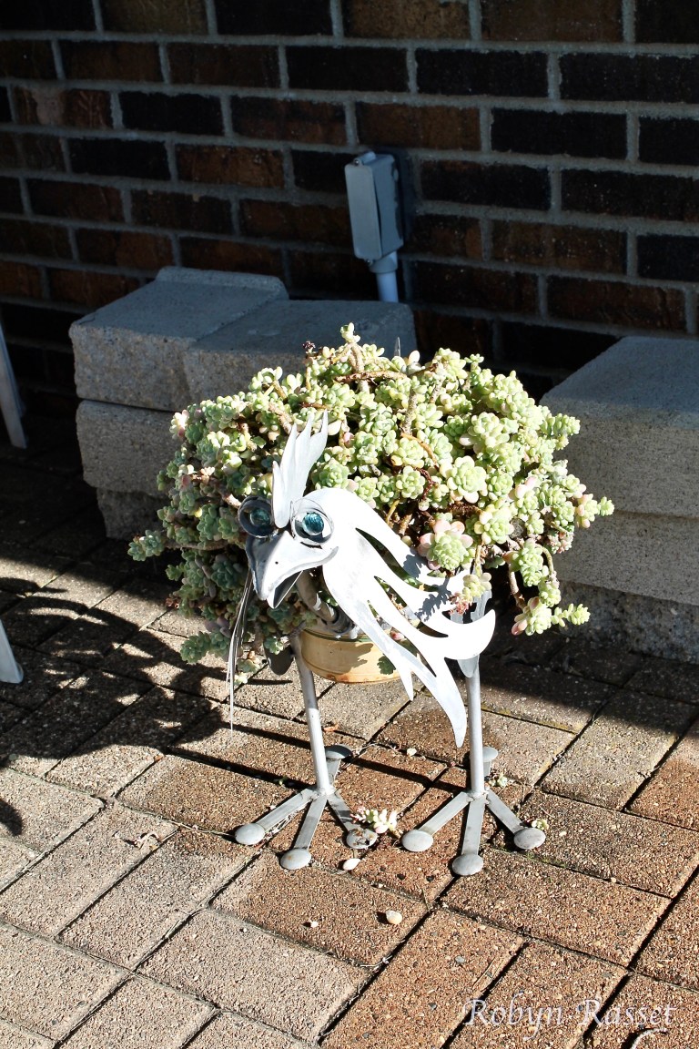 June Flowers – Stamping@Robyn's Roost