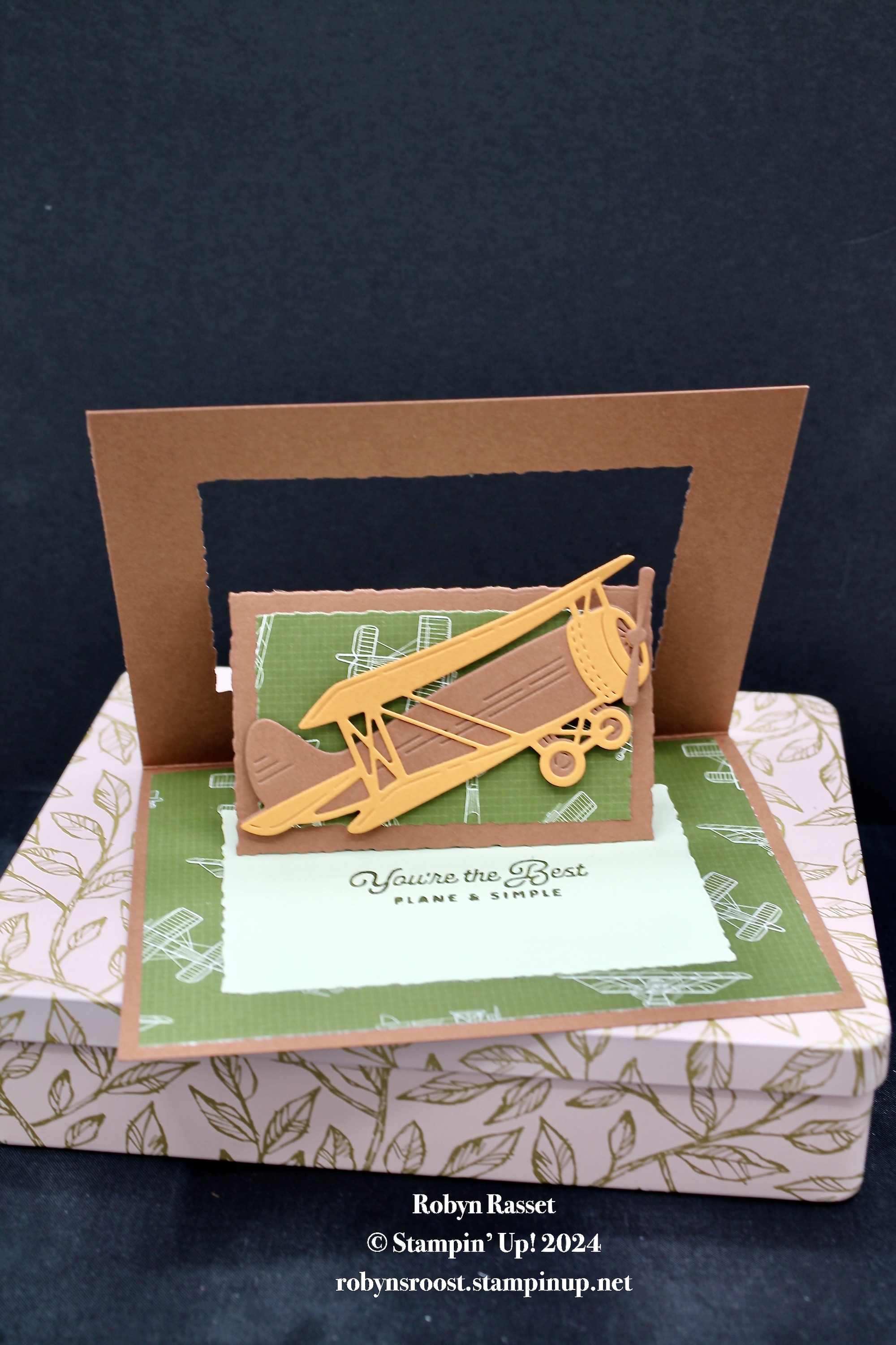 Outside In Easel Card – Stamping@Robyn's Roost