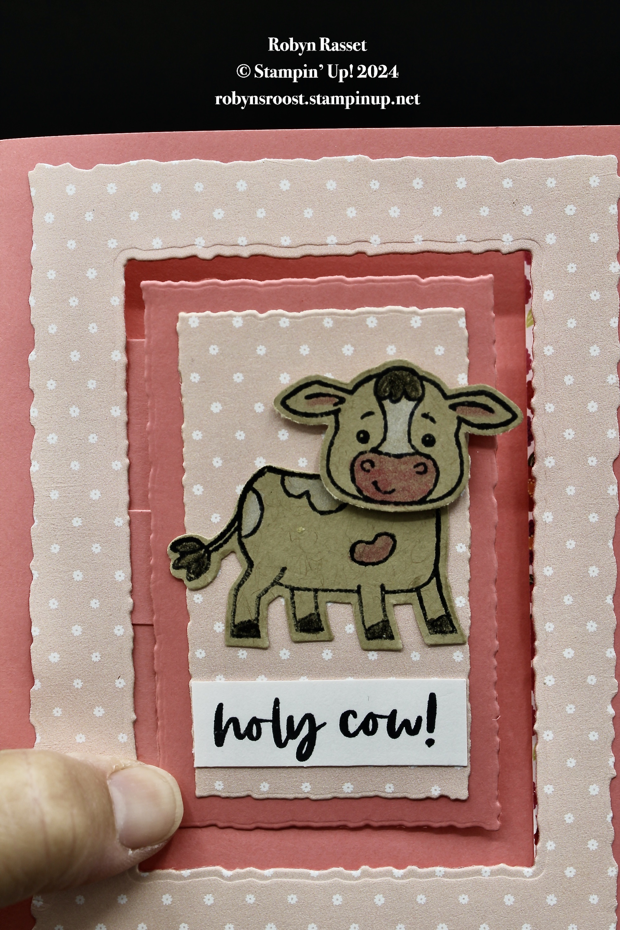 Holy Cow! – Stamping@Robyn's Roost
