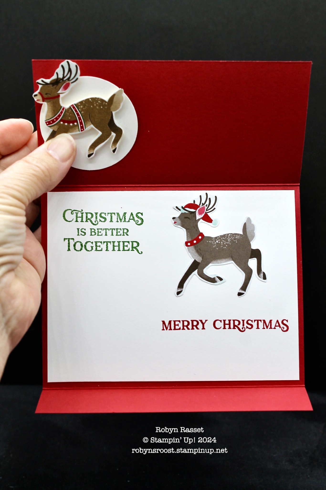 Easy Open Slider Card – Stamping@Robyn's Roost