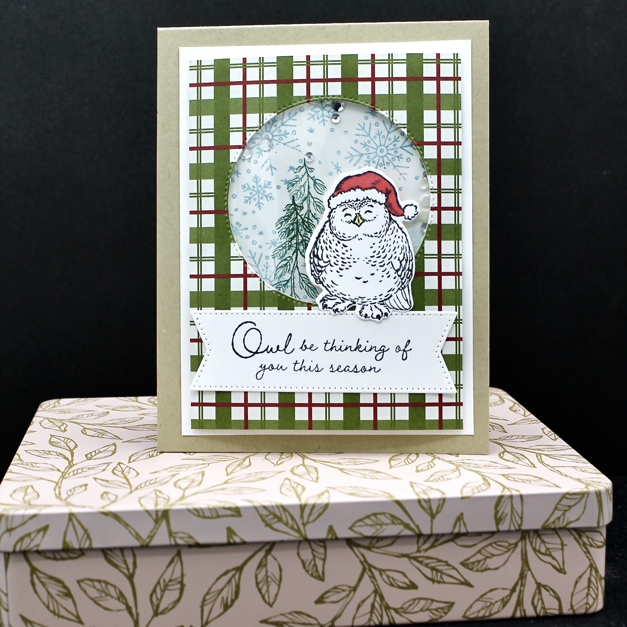 Faux Shaker Card – Stamping@Robyn's Roost