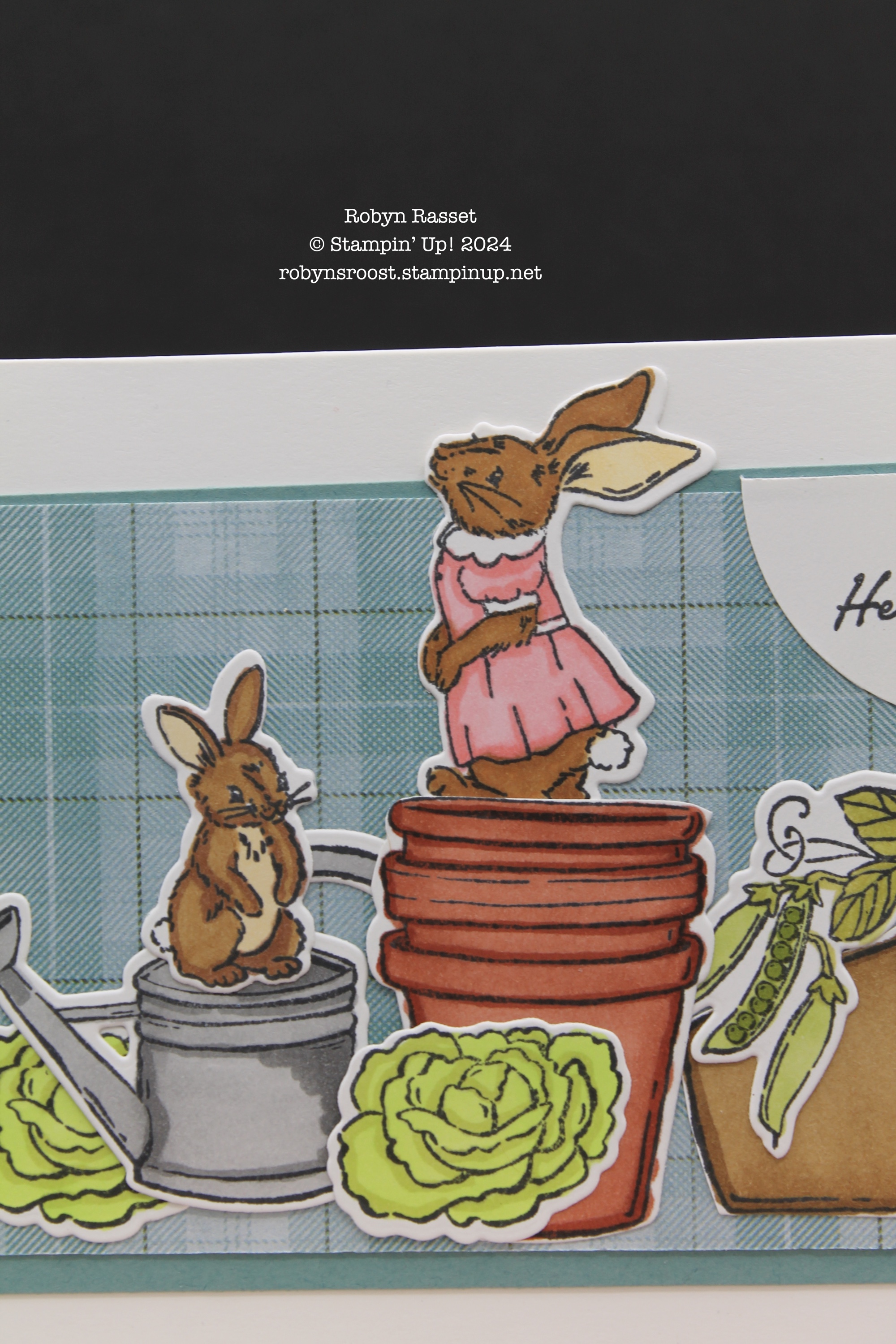 Peter Rabbit Card – Stamping@Robyn's Roost