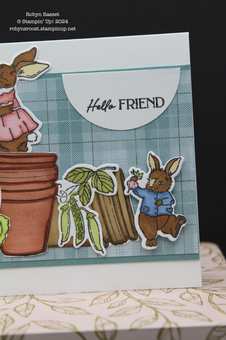Peter Rabbit Card – Stamping@Robyn's Roost