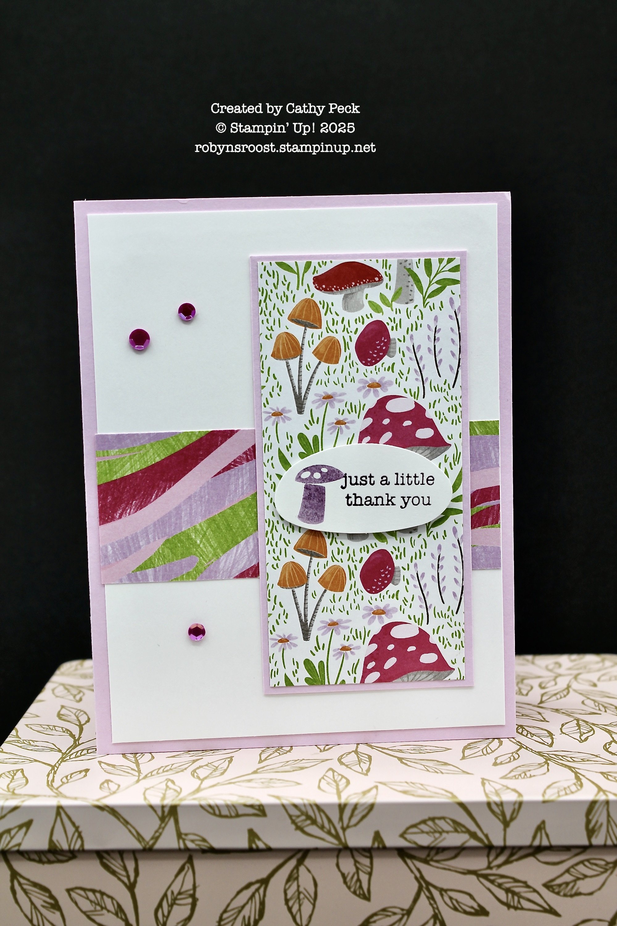 Swap Card Friday – Stamping@Robyn's Roost