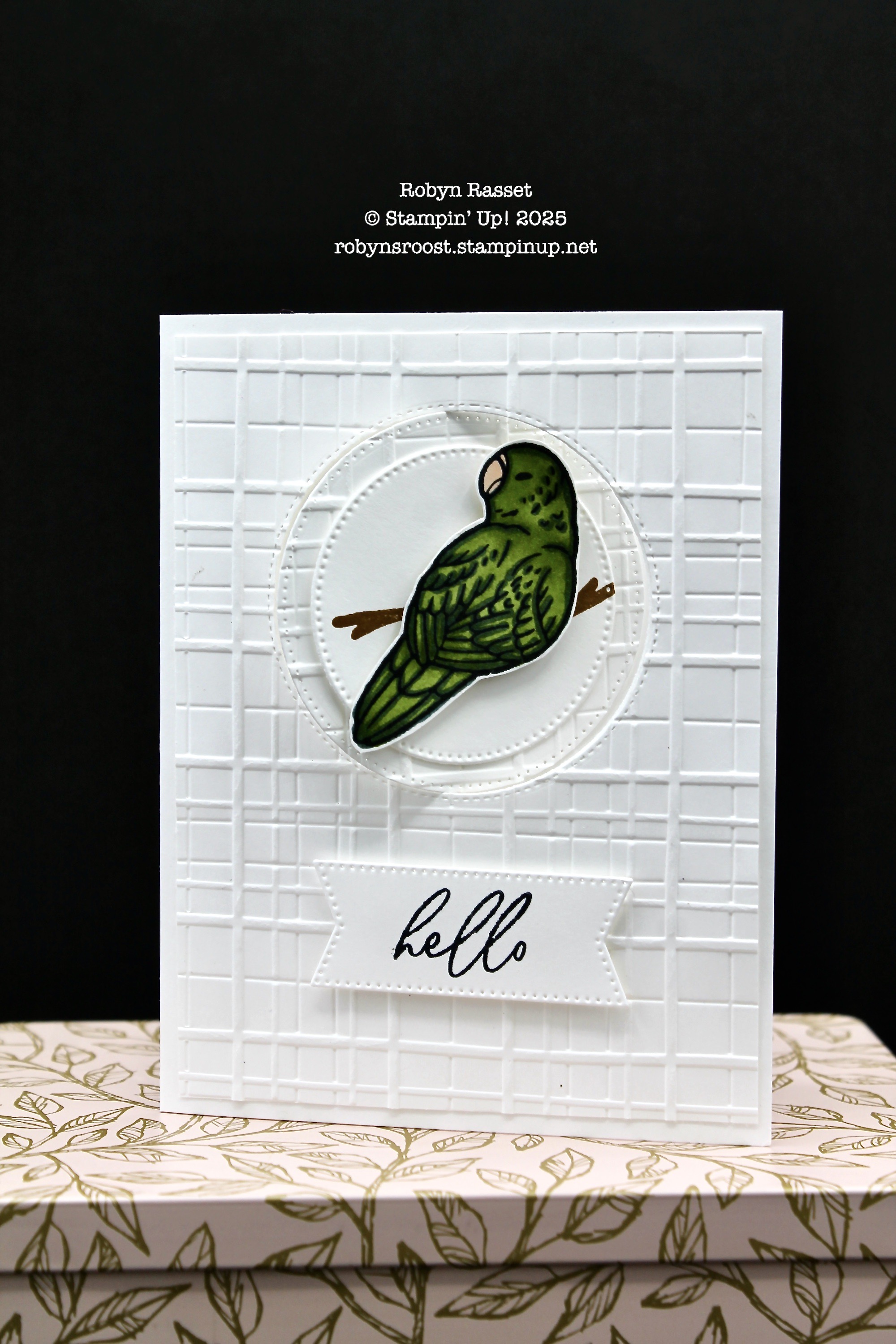 Feathered Fun – Stamping@Robyn's Roost