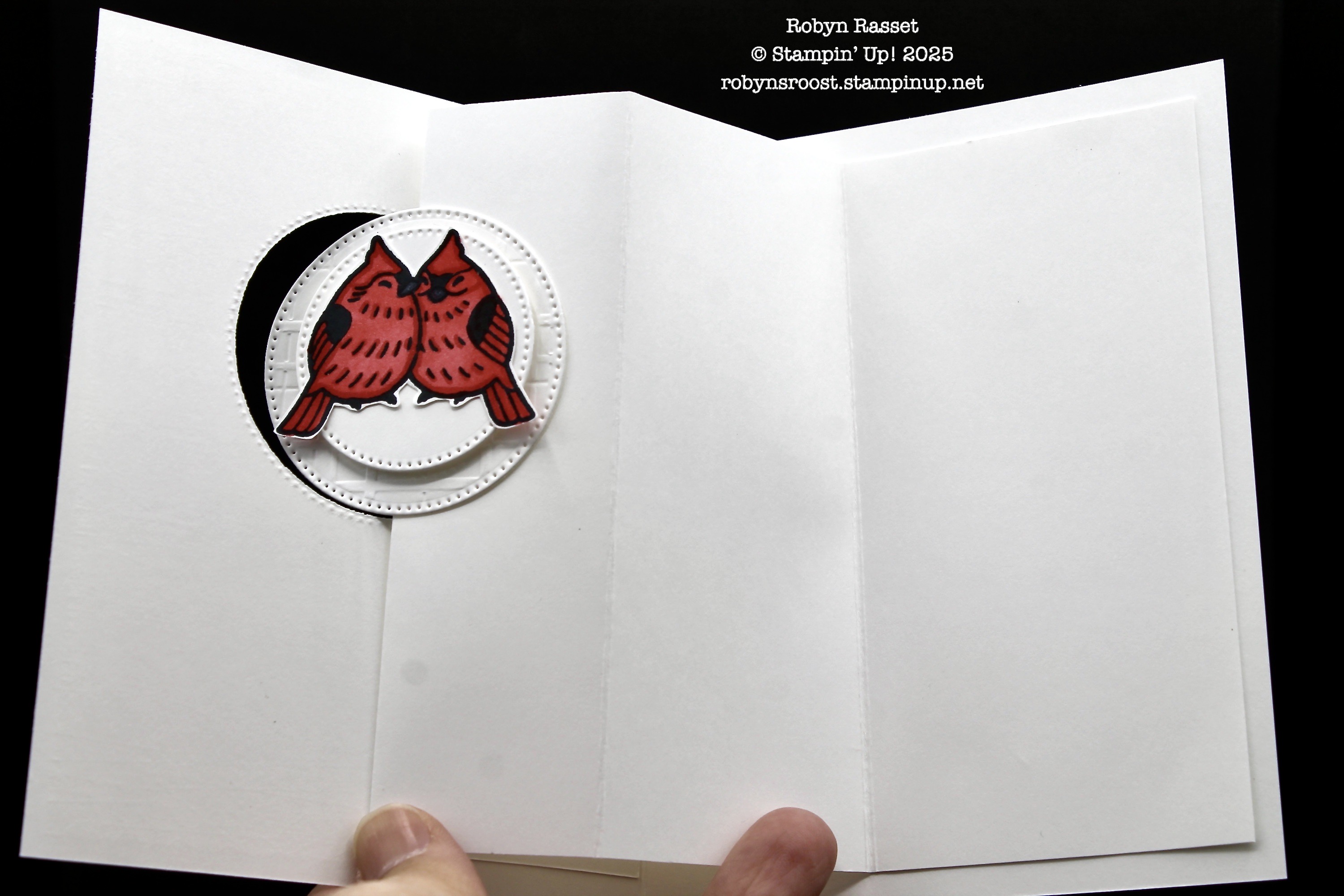 Feathered Fun – Stamping@Robyn's Roost