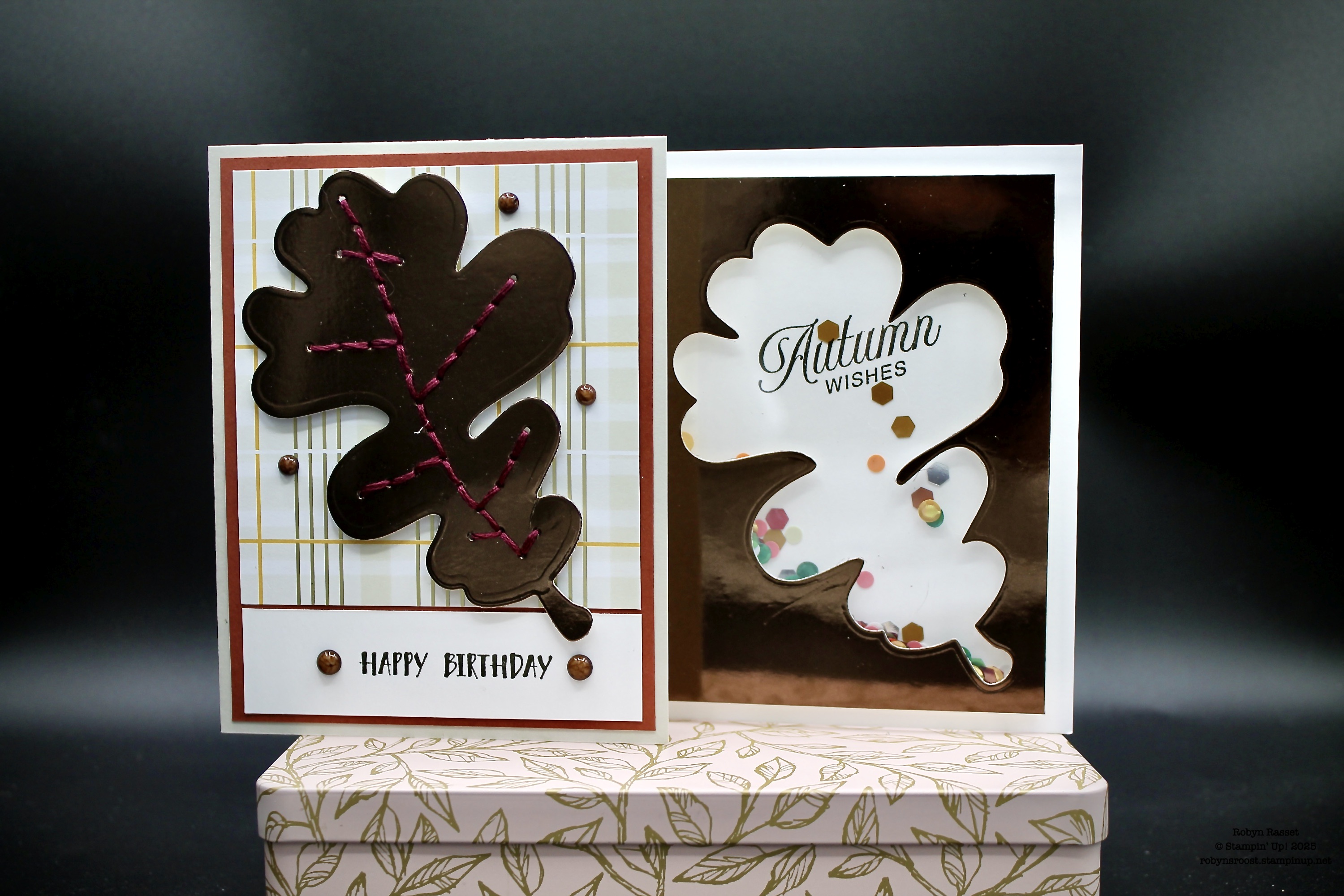 One Die Cut, Two Cards – Stamping@Robyn's Roost
