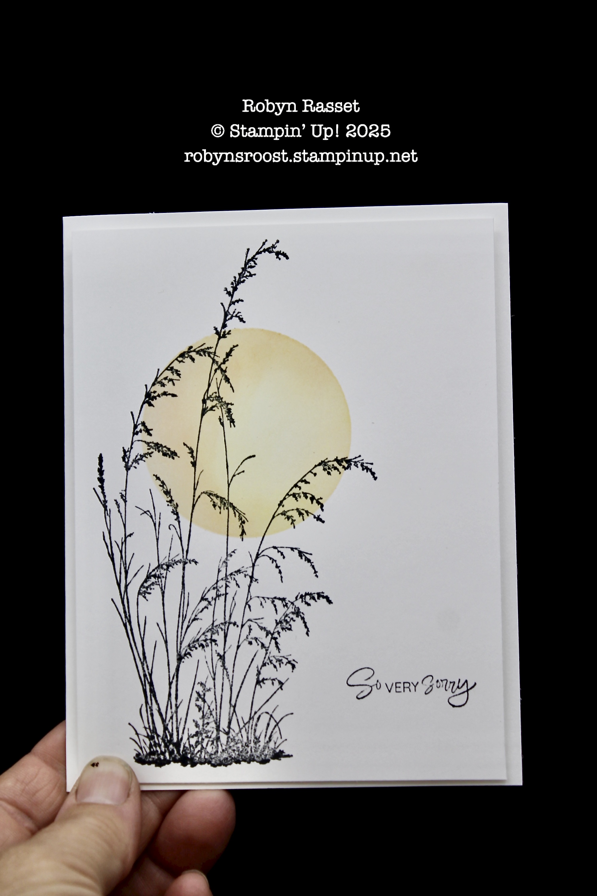 Creating a Background with Masking – Stamping@Robyn's Roost